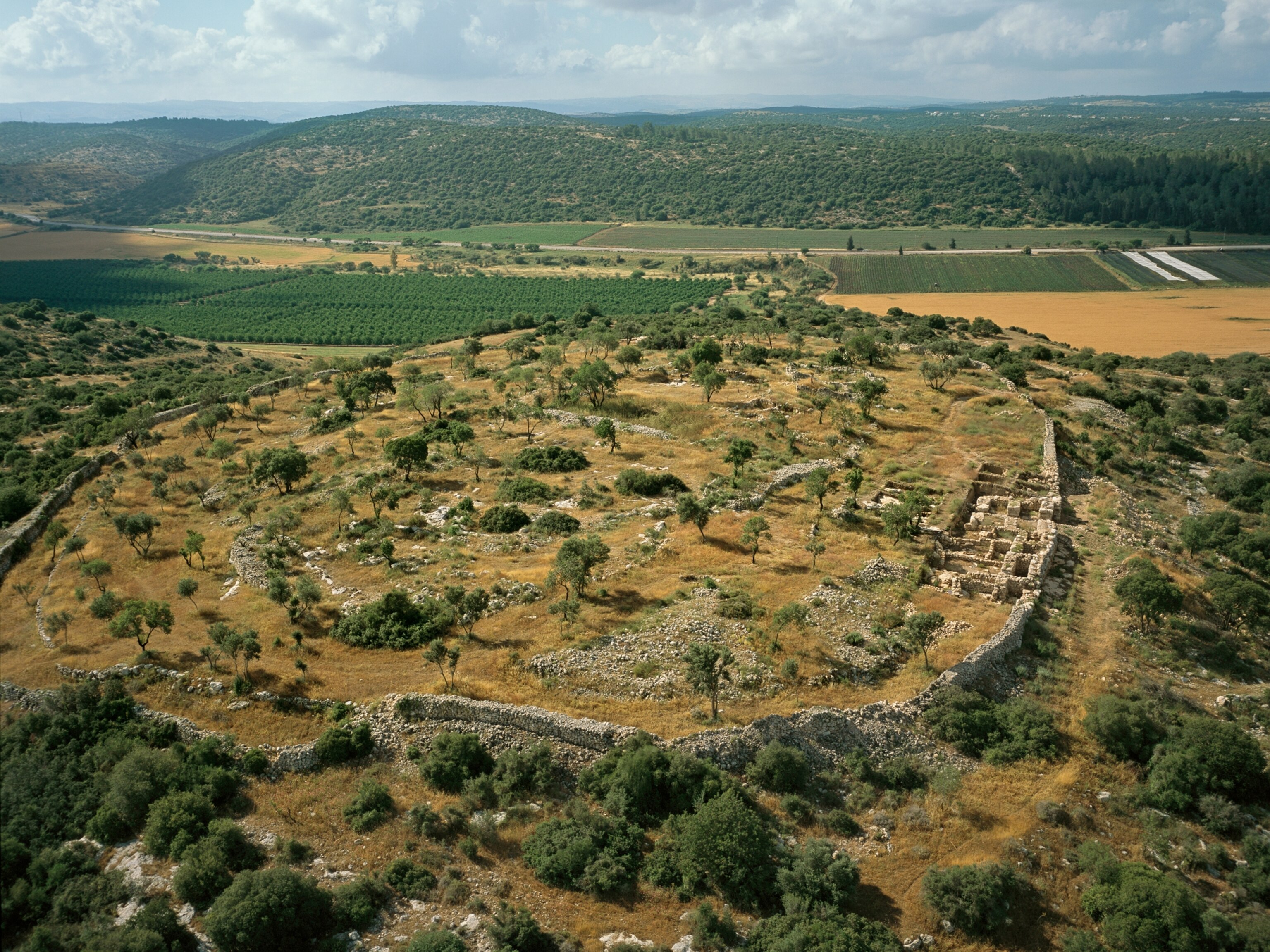 Kings of Controversy