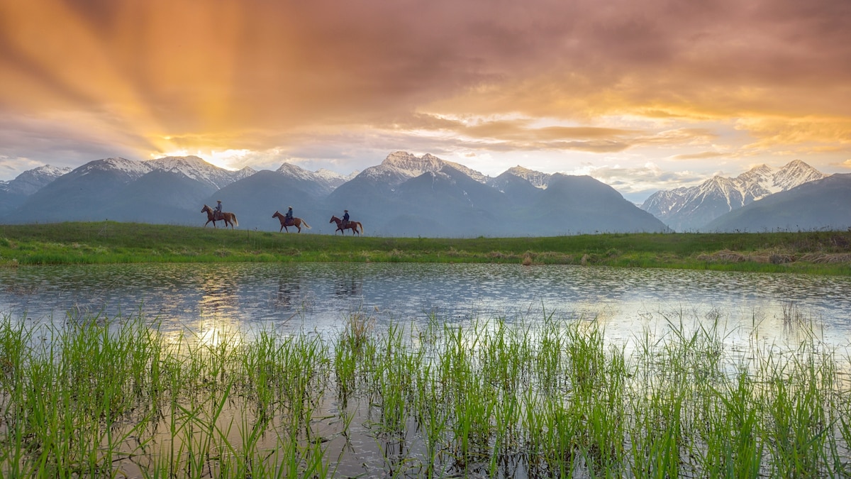 How the ‘America the Beautiful’ poem was born | National Geographic