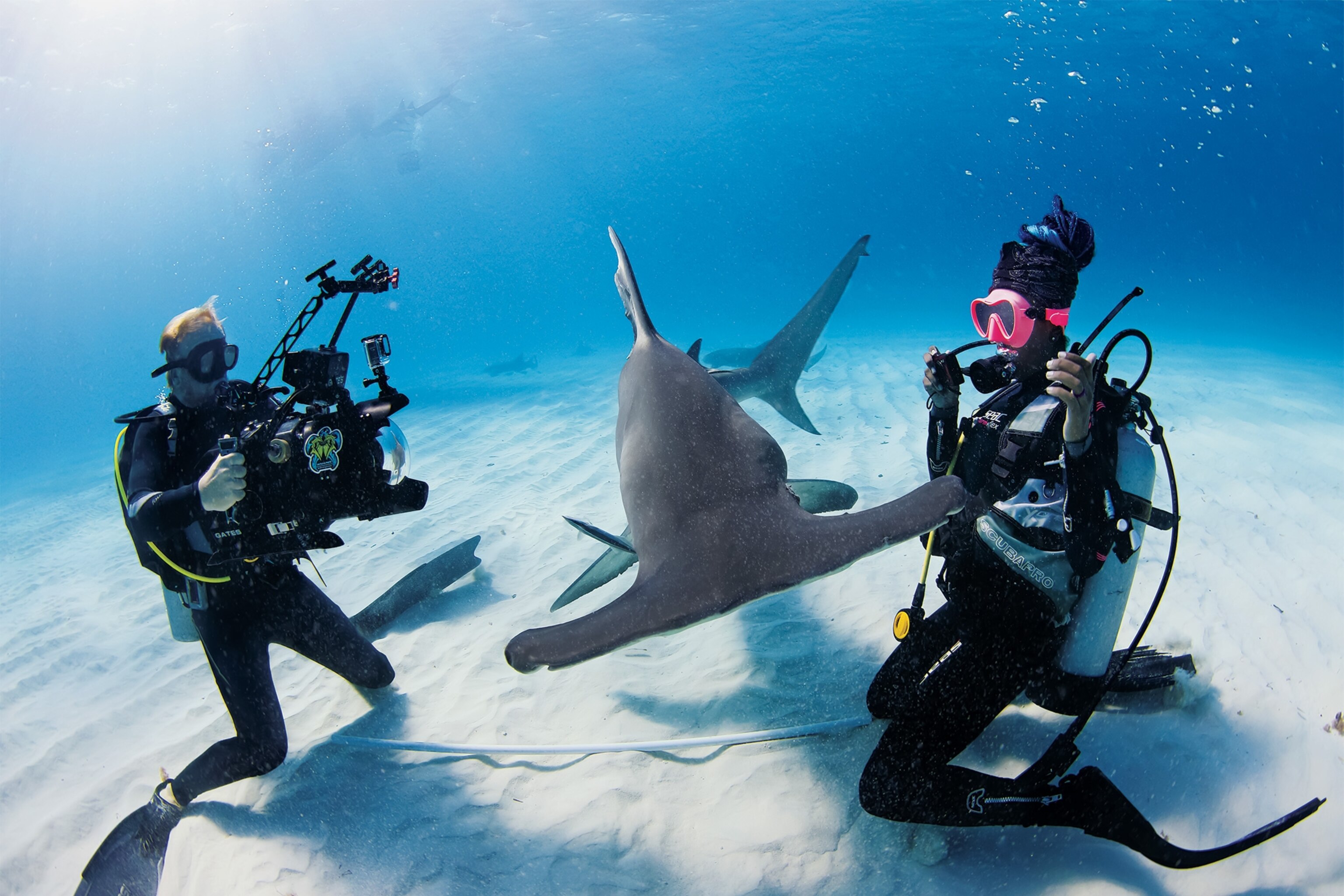 Building a community and fostering a love for sharks