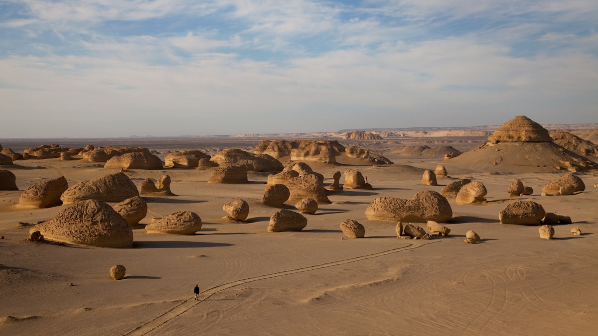 Valley of the Whales | National Geographic