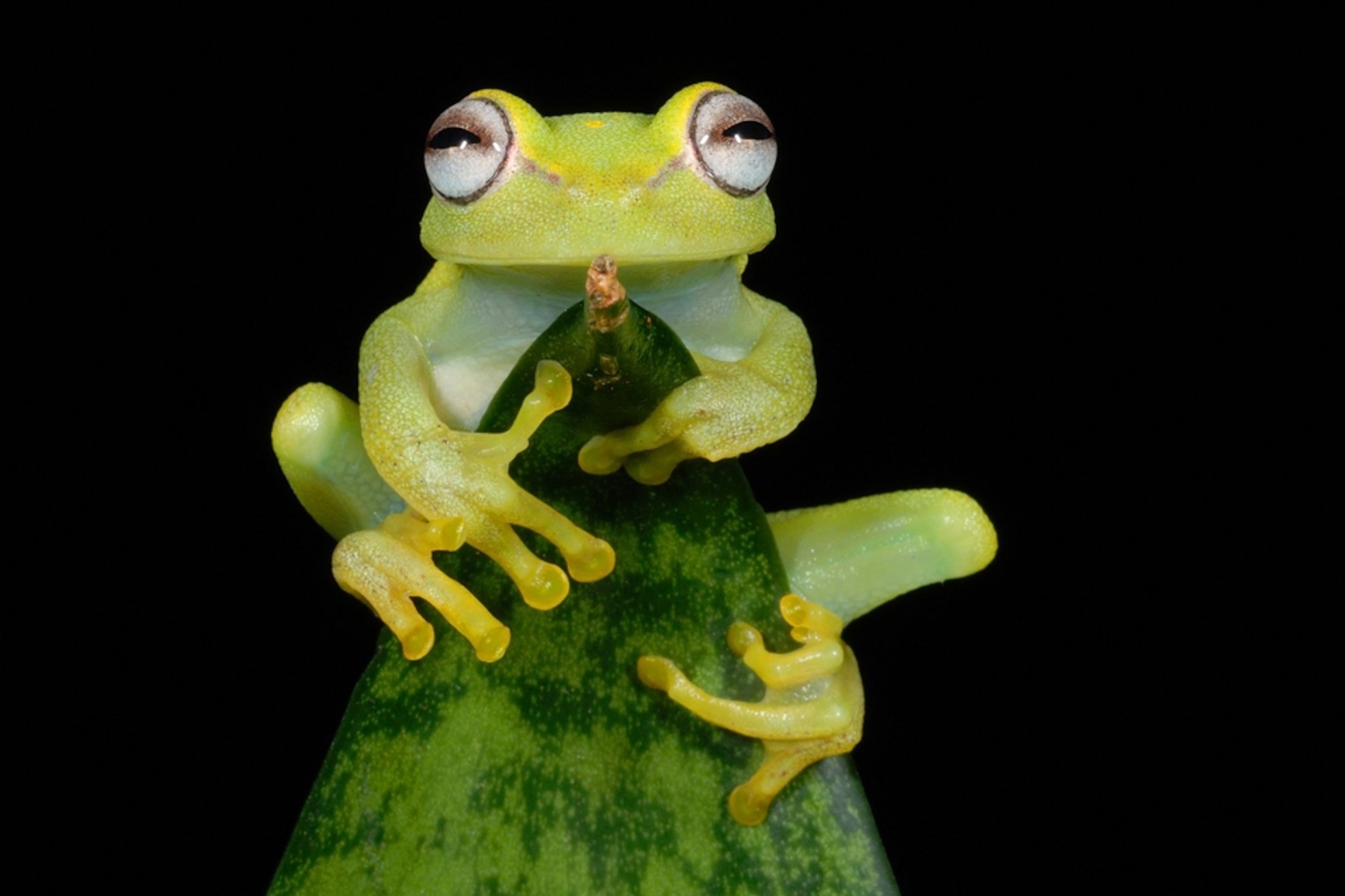 How to See the Nasca Lines, Peru