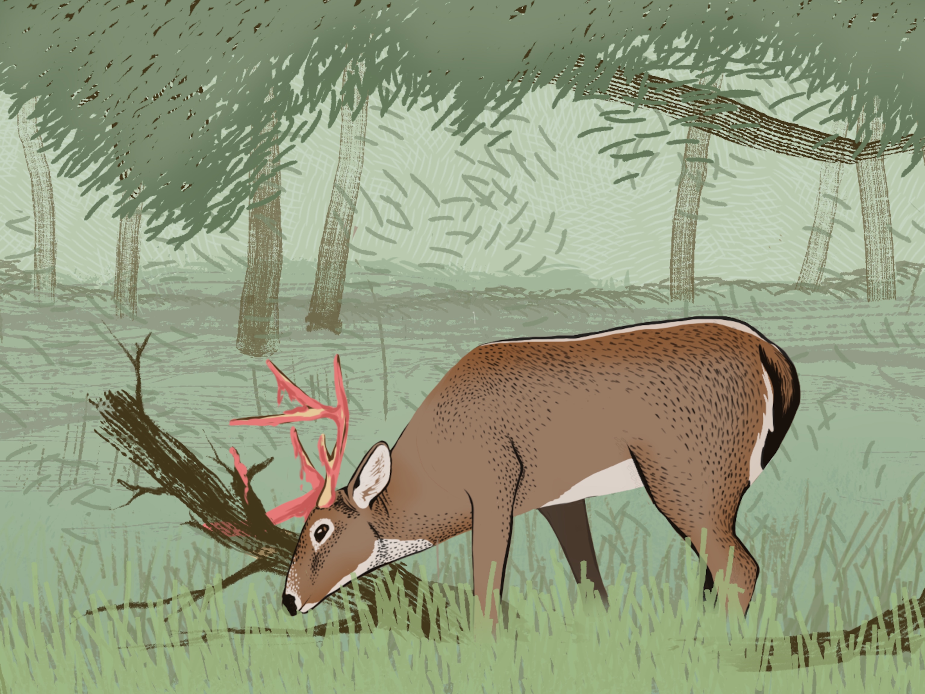 For autistic youths entering adulthood, a new world of challenges awaits