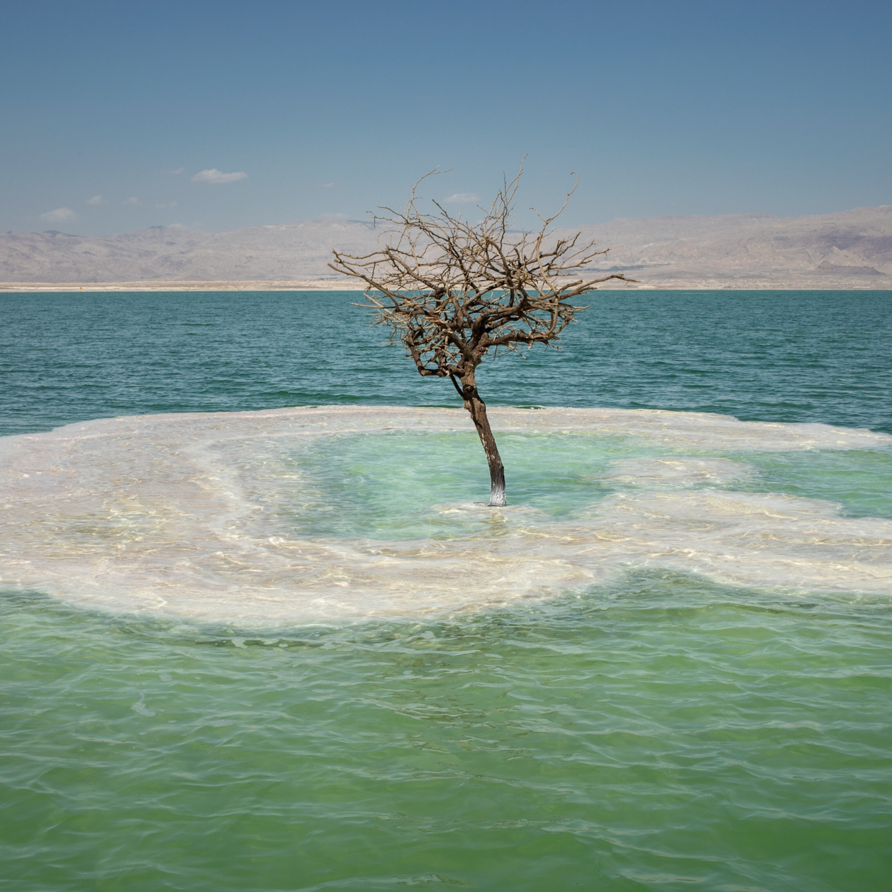 Can Israel and Jordan cooperate to save the dying Dead Sea?