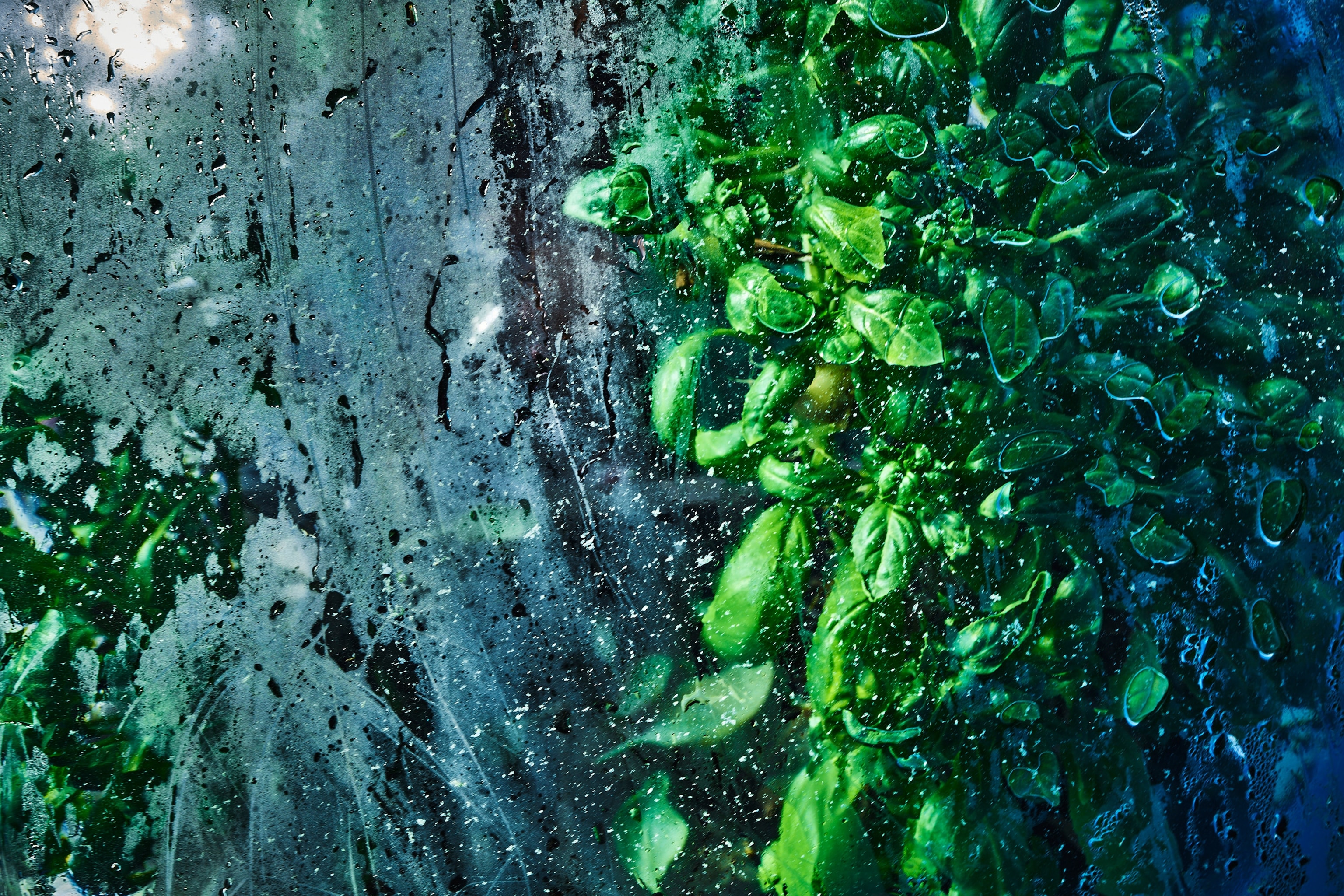 Look inside Nemo’s Garden, a surreal underwater farm