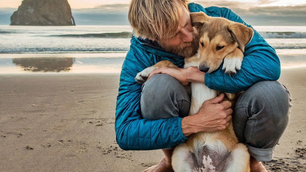 "Denali" Filmmaker and Cancer Survivor Gets a New Best Friend ...