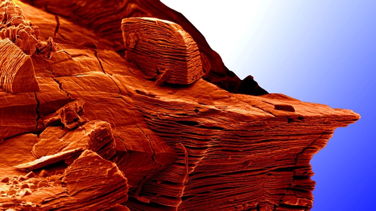 Best Science Pictures of 2011 Announced | National Geographic