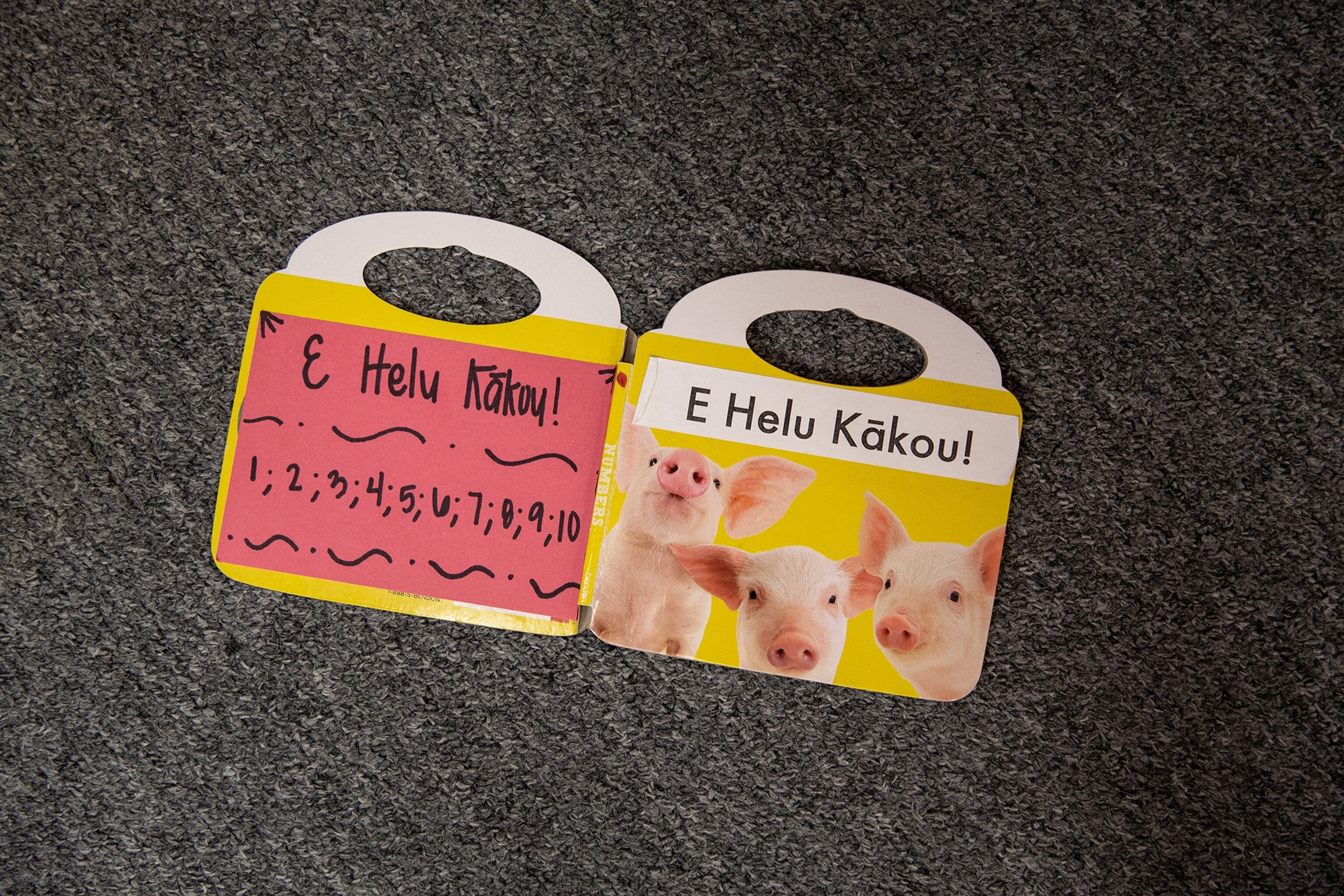 Hawaii’s Native language nearly vanished—this is the fight to bring it back