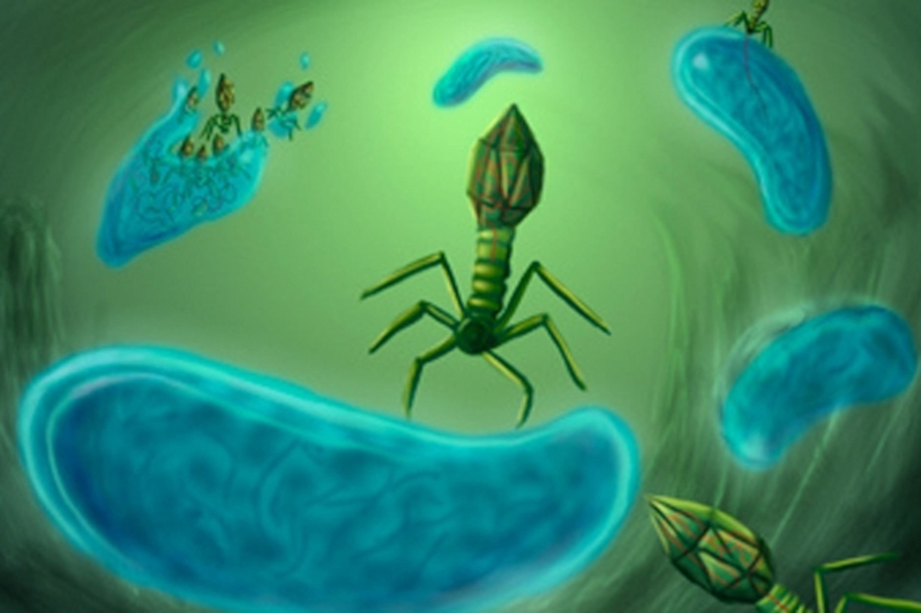 Fighting evolution with evolution – using viruses to target drug ...