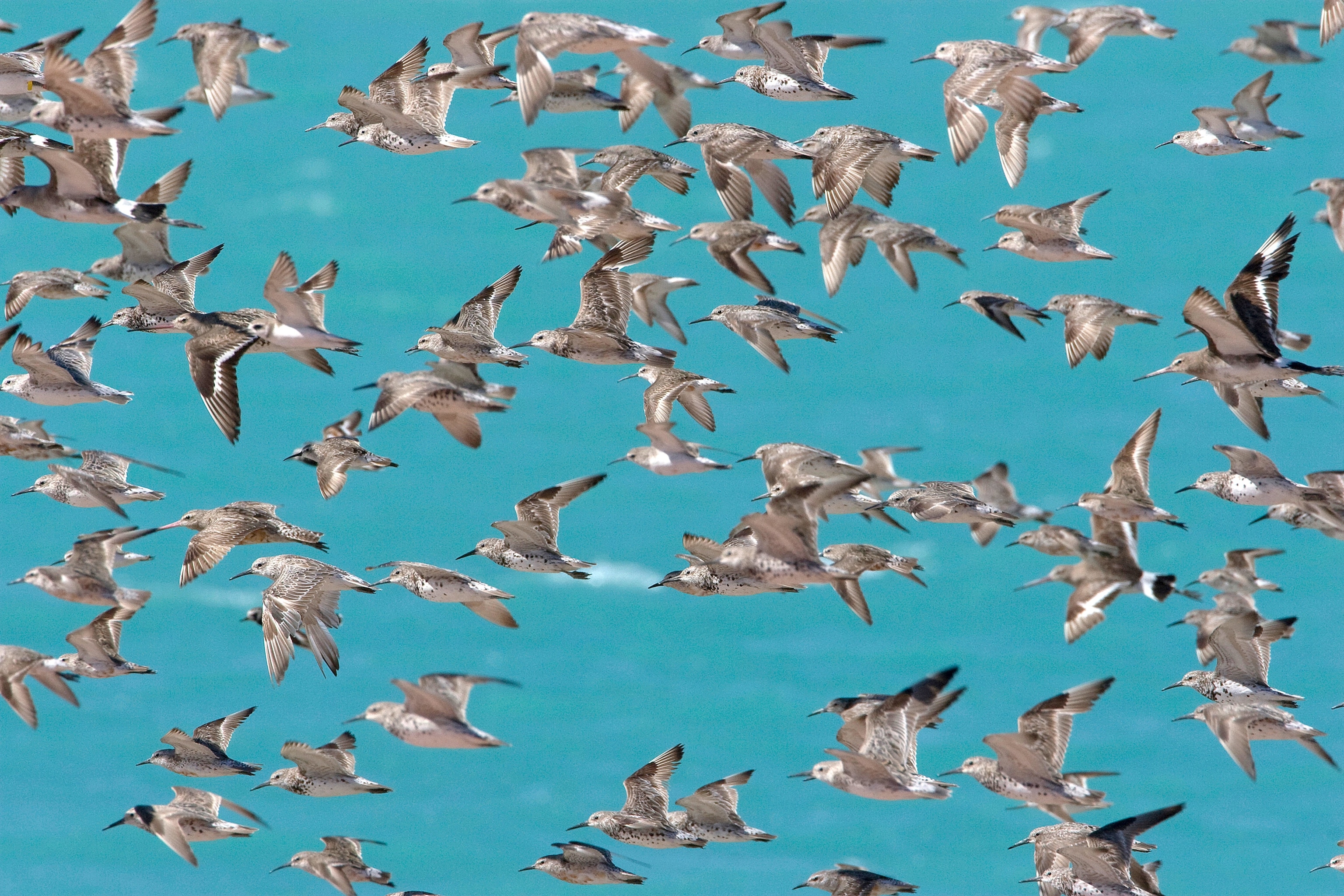 World's Best Destinations for Bird-Watching