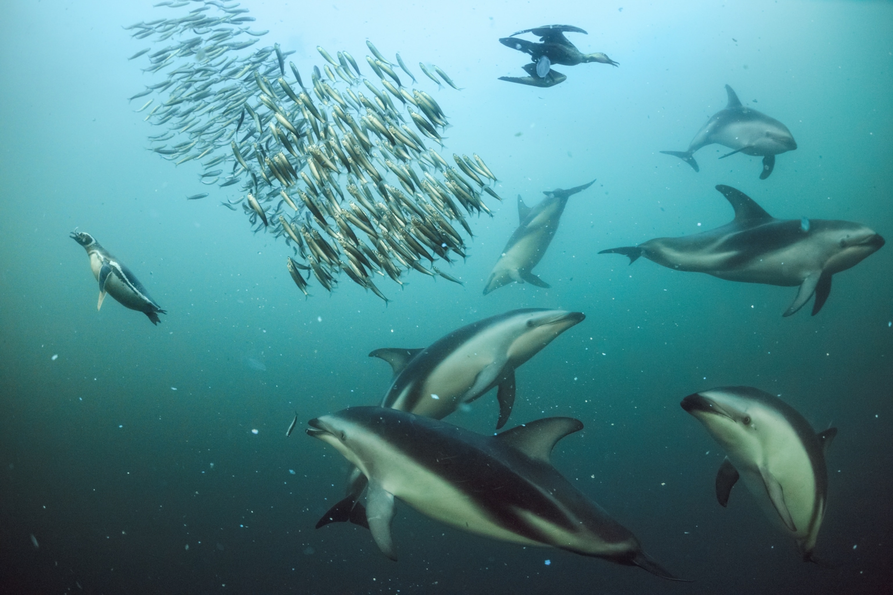 30 mesmerizing photos from the Nat Geo archives that will grab your ...