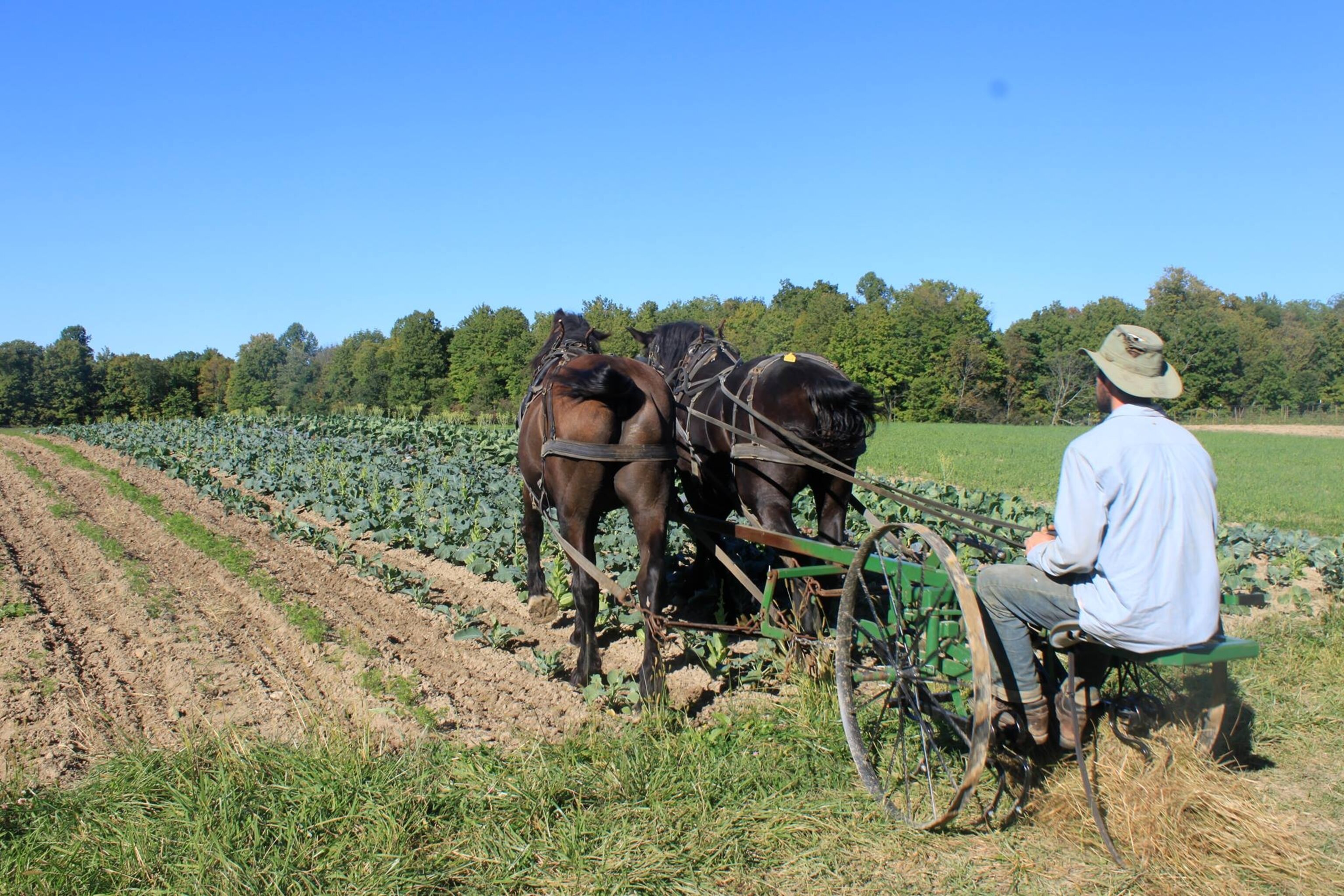 Uncle Sam Wants You to Live and Farm on a National Park