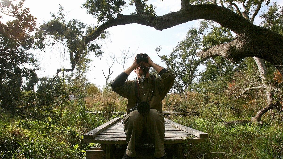 The Perils of Aging: A Problem for Citizen Science? | National Geographic