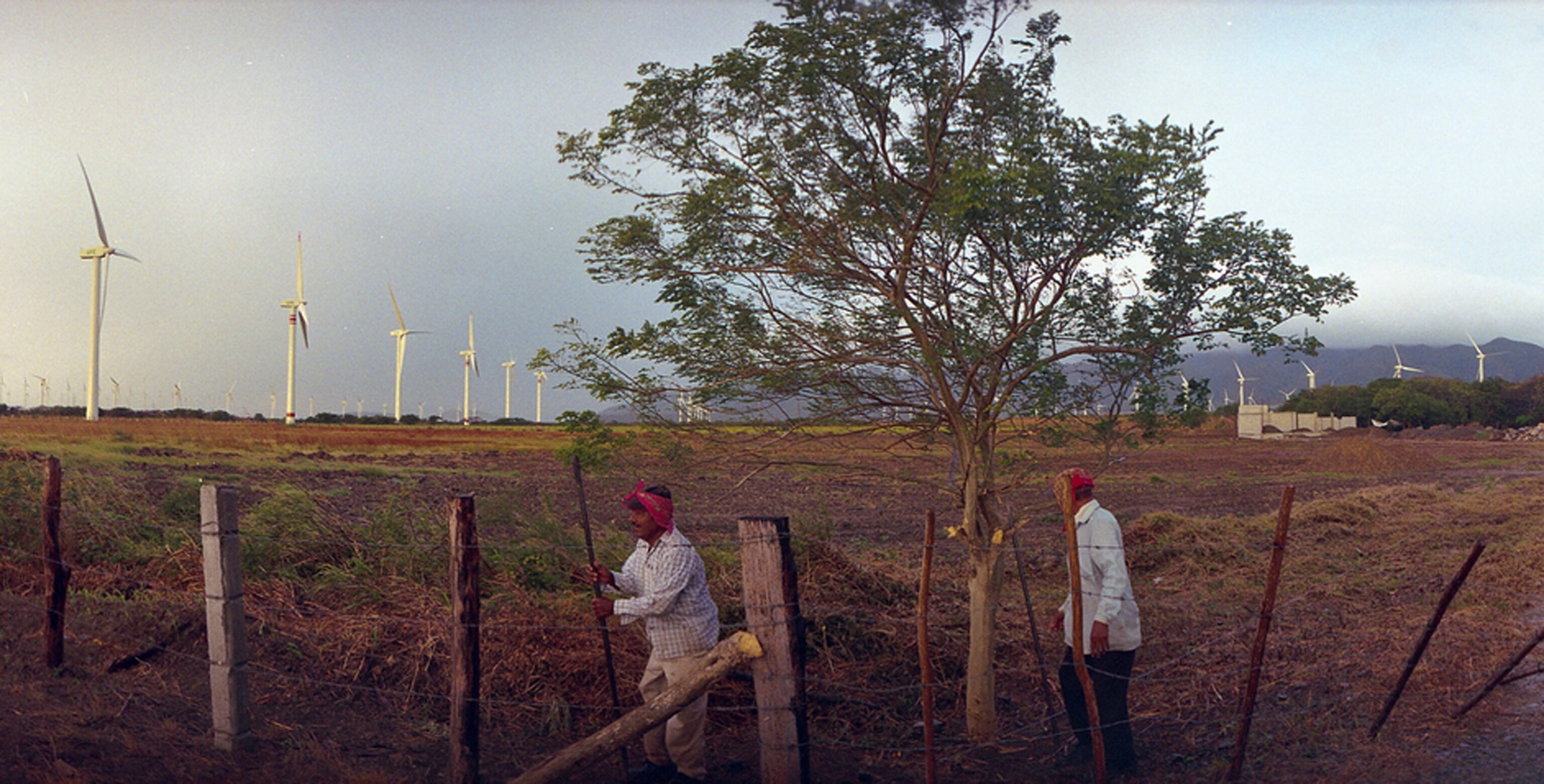 Mexico's Robust Wind Energy Prospects Ruffle Nearby Villages in Oaxaca ...