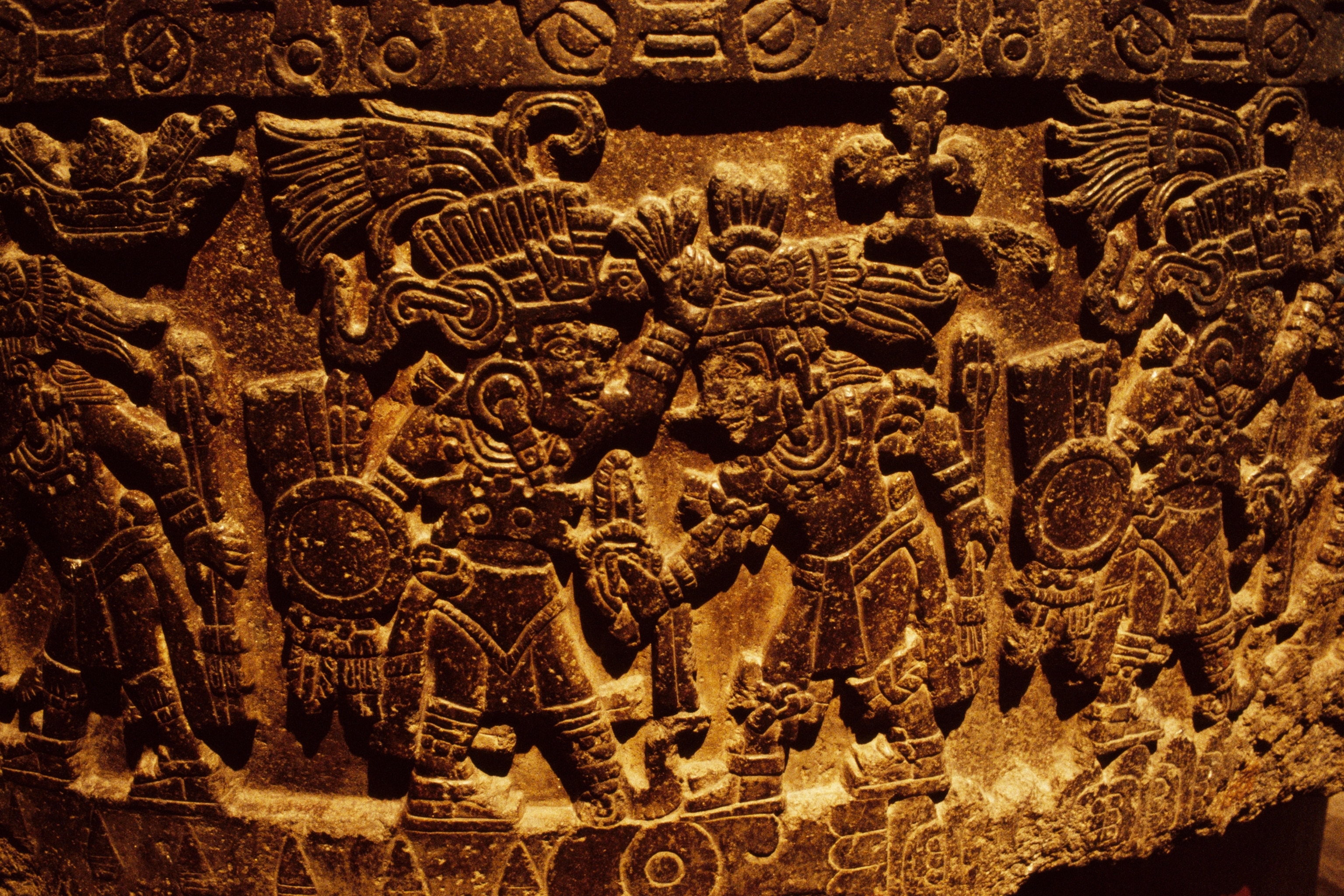 Fowl Play? The Twisted Linguistics of Turkey