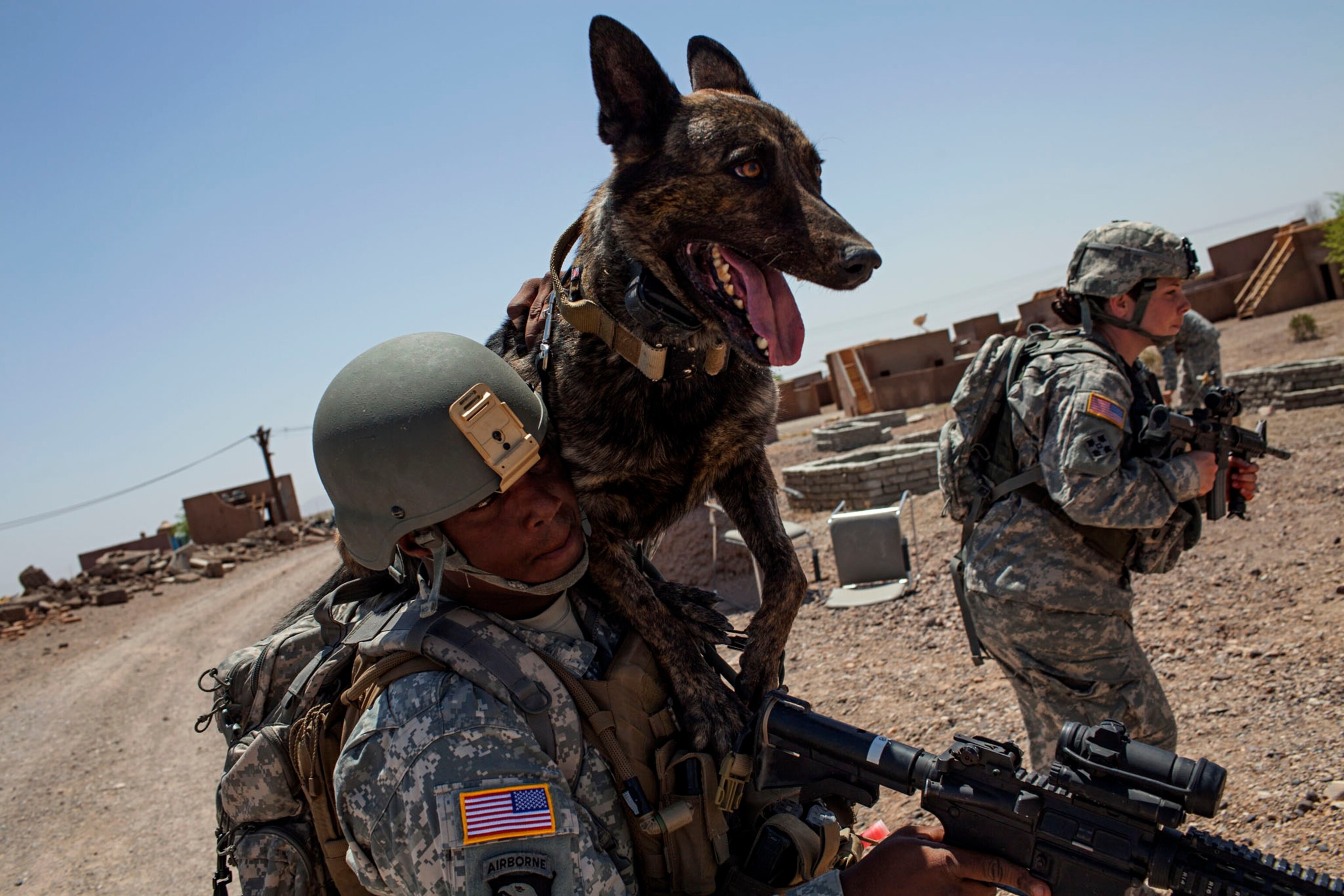The rigors of war dog training and why Conan is our latest war hero
