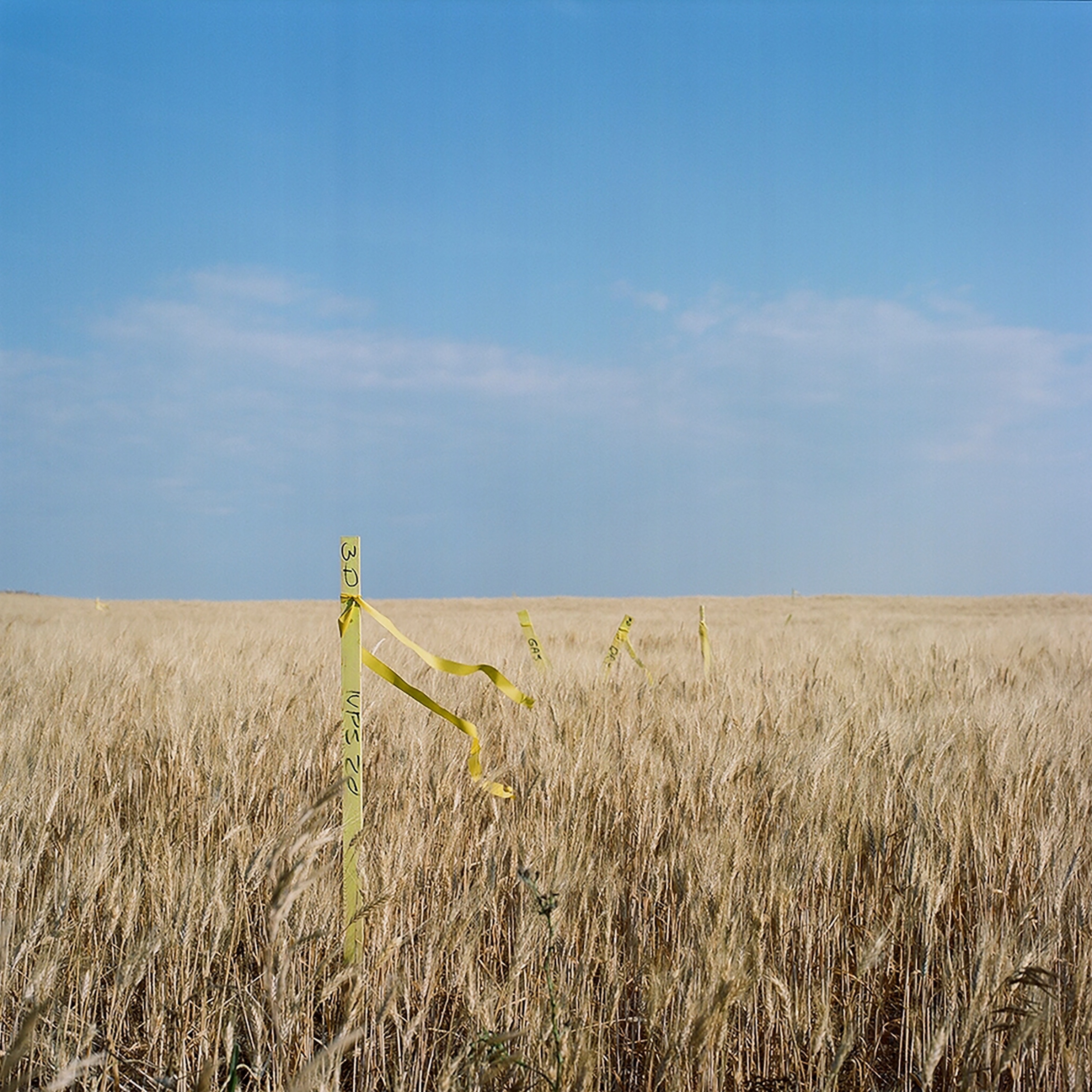 The Keystone XL pipeline is dead. Now what?