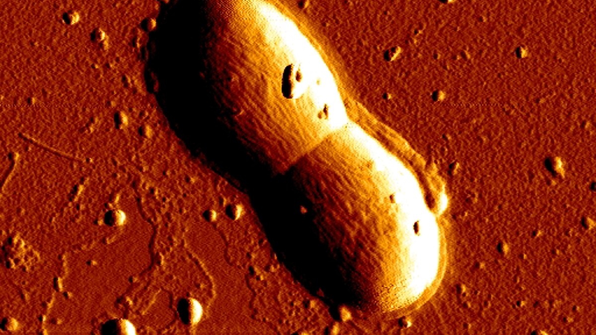 Slow-Mo Microbes Still Living off Dino-era "Lunch Box" | National ...