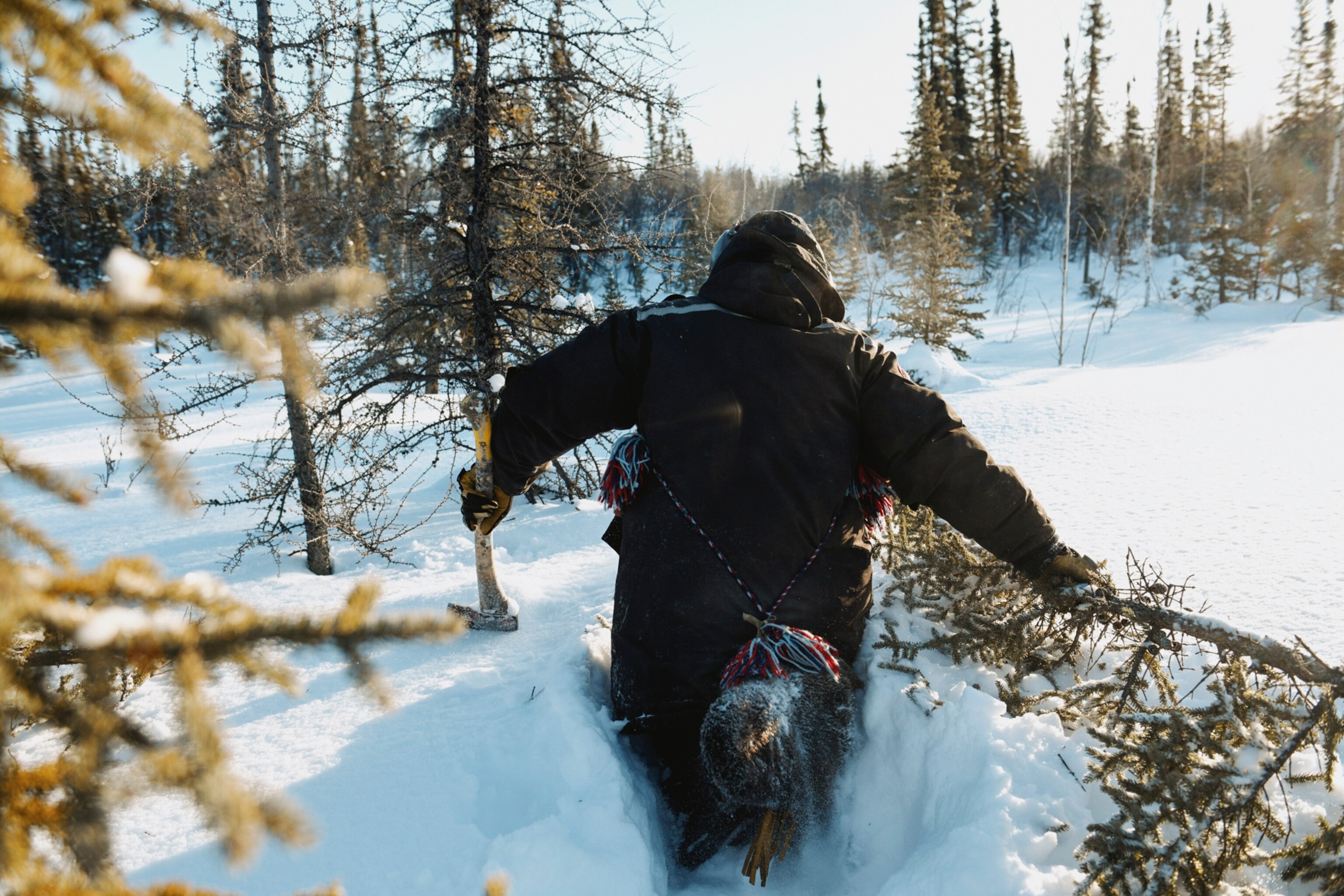 With fur out of fashion, Indigenous trappers are endangered