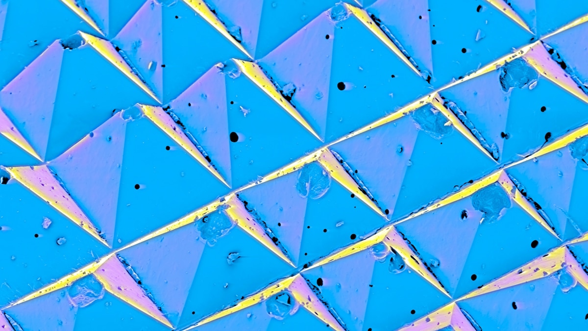 Let Your Fingers Do the Seeing | National Geographic