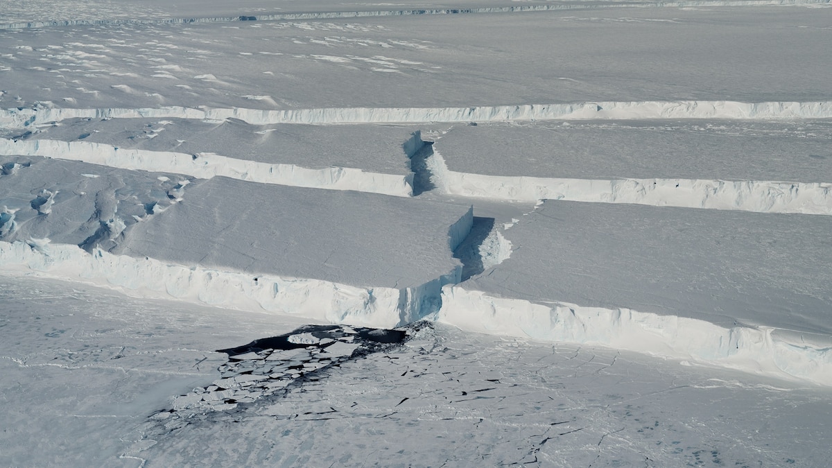 First photos: A city-size iceberg breaks off Antarctica | National ...
