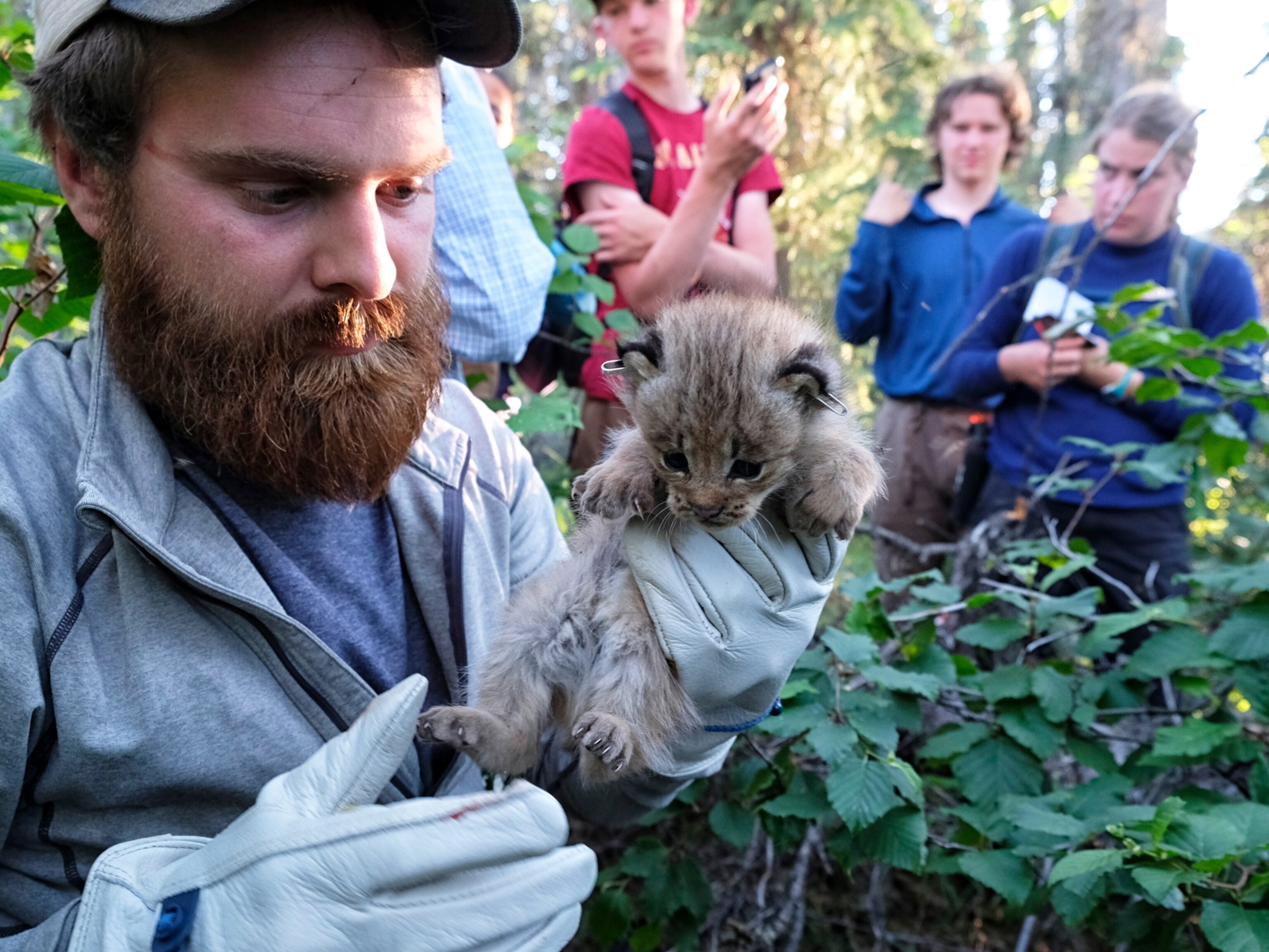 Peter Mather's Instagram, Twitter & Facebook on IDCrawl