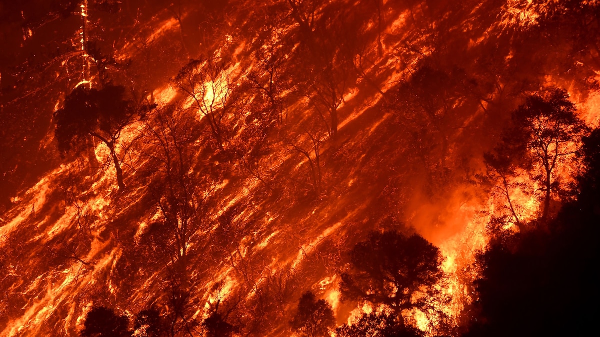 See the Hellscape Created by the Raging Sand Fire | National Geographic