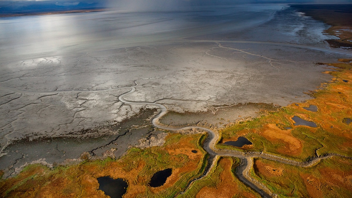 Alaska’s Choice: Salmon or Gold | National Geographic