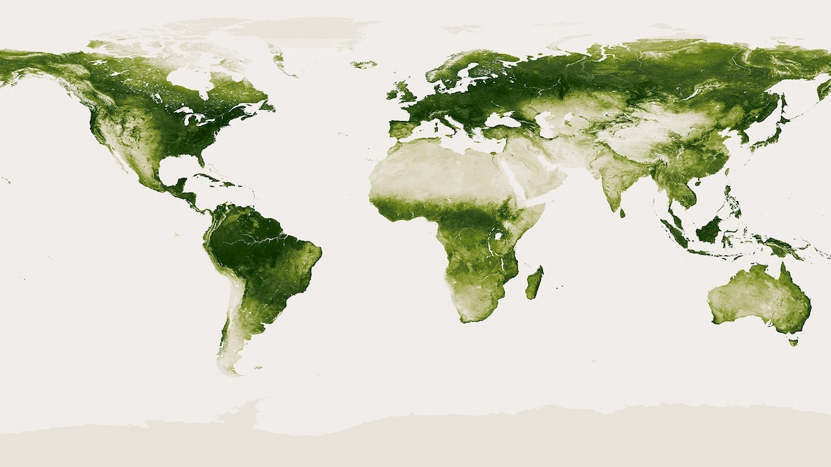 Pictures: Earth's Green Places Mapped in High Resolution | National ...