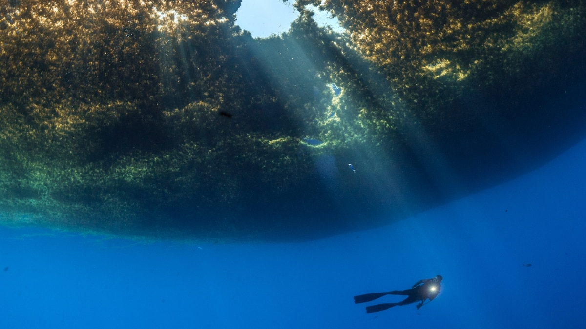 A giant, rotting mass of seaweed threatens beach season—again ...