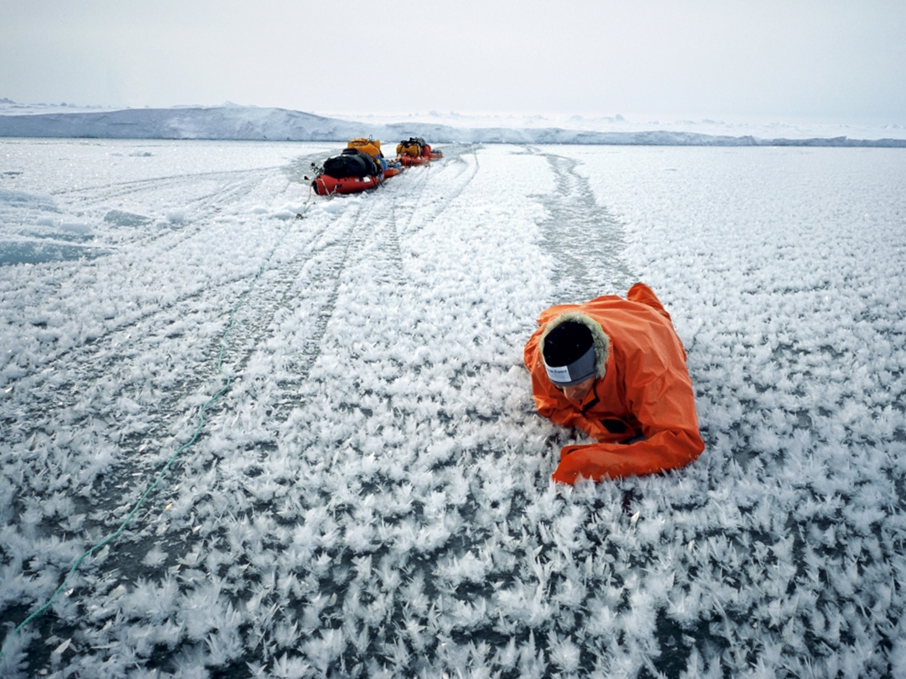 Top Expedition Photos -- National Geographic