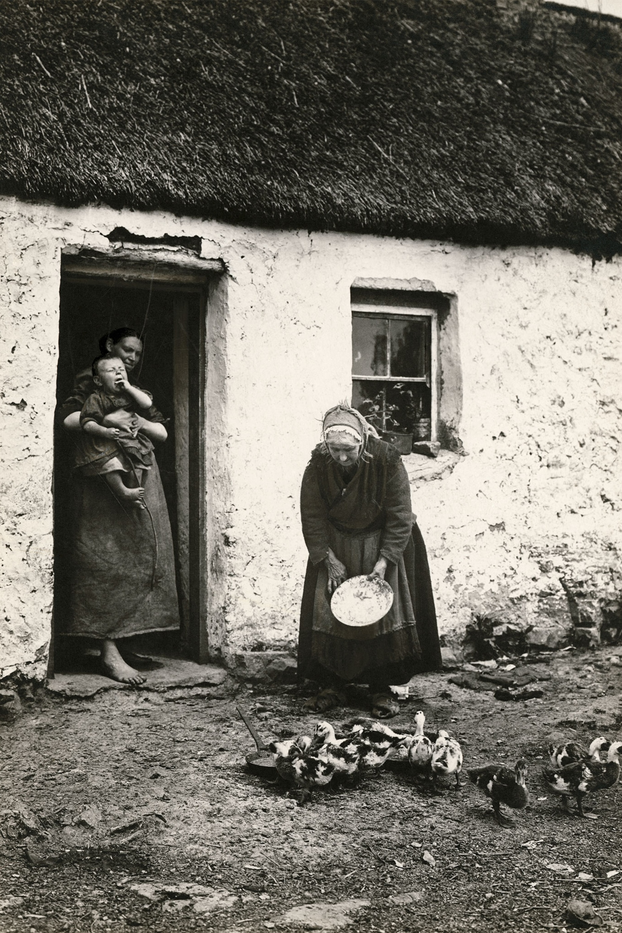 Irish Ancestry Surprises Revealed by New DNA Map