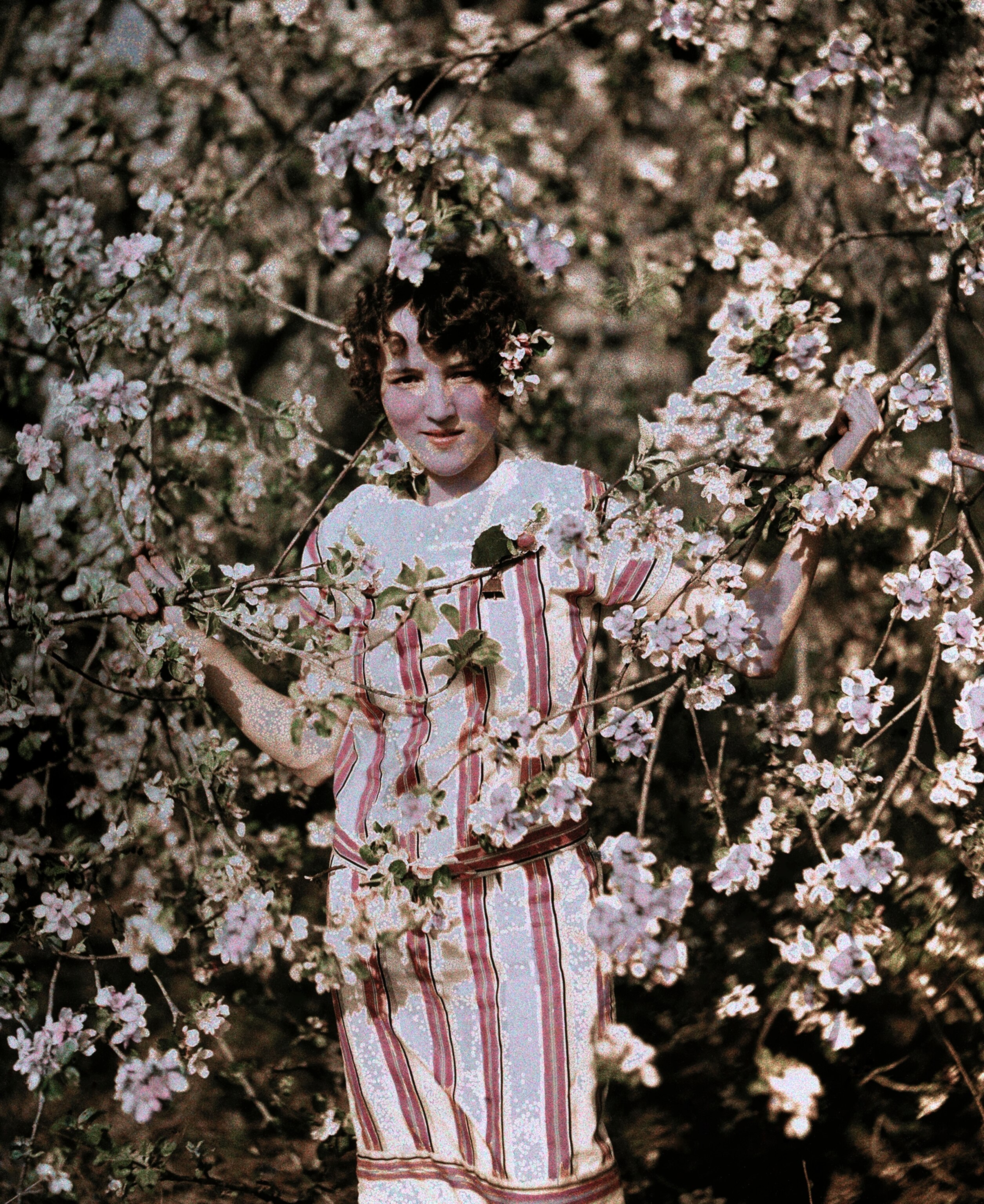 ‘Tis the Season to Be Blooming: 16 Photos Celebrating Spring | National ...