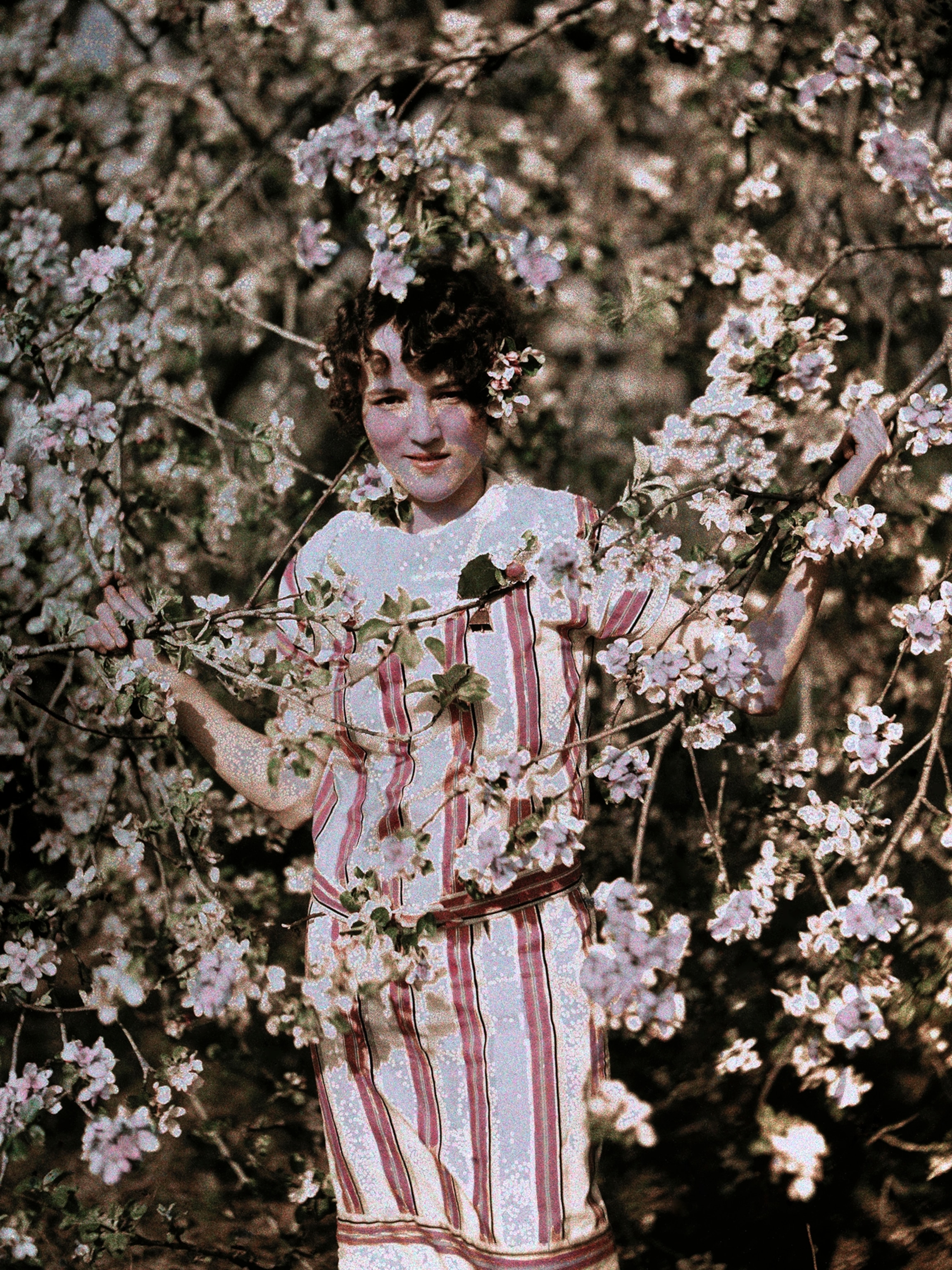 ‘Tis the Season to Be Blooming: 16 Photos Celebrating Spring