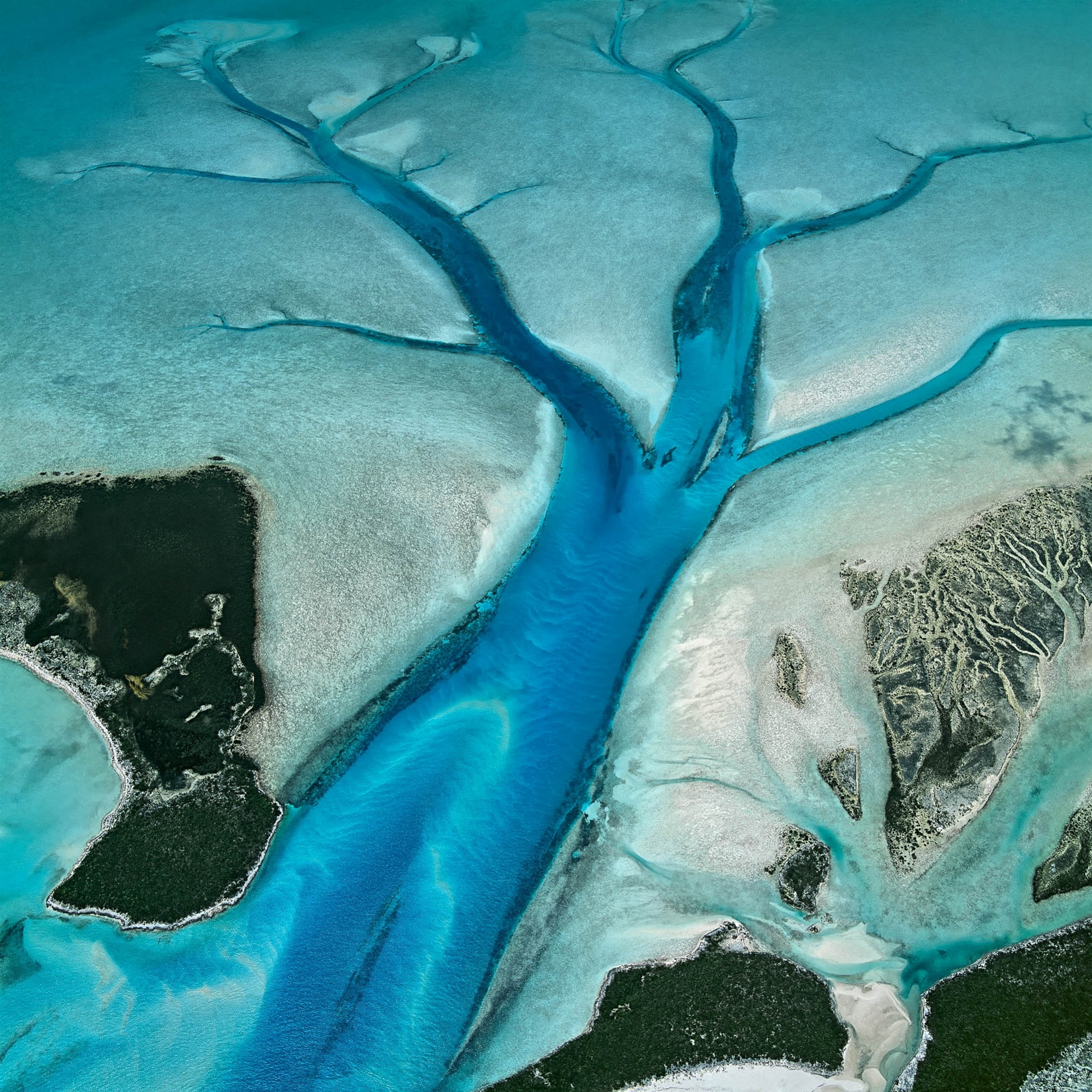 Earth’s Most Striking Scenes, As Seen From Above