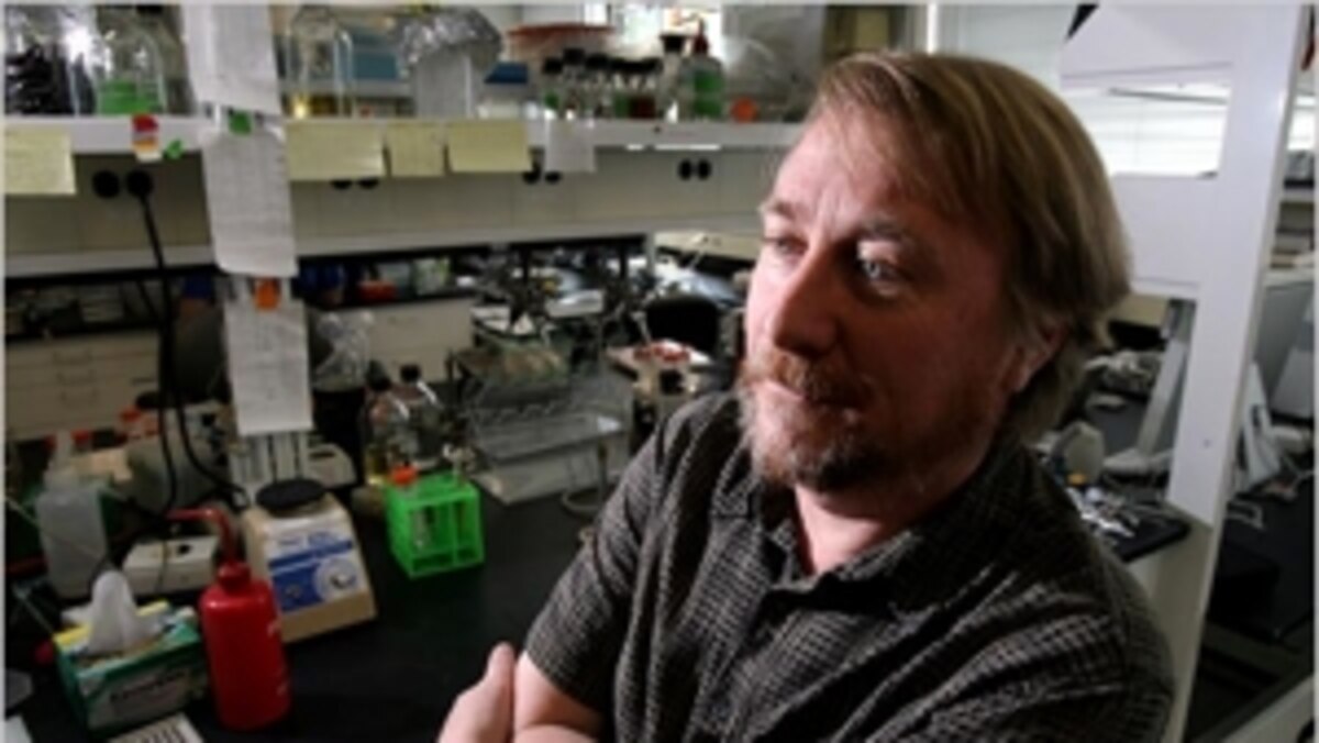 The Birth of the New, The Rewiring of the Old | National Geographic