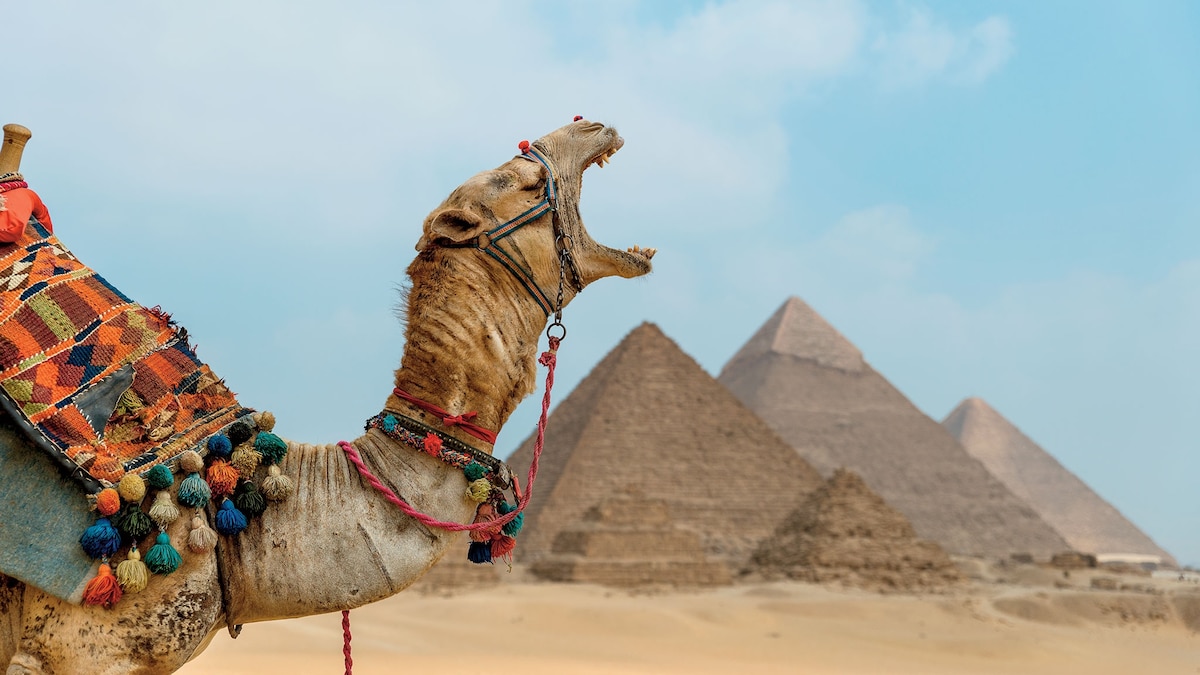 Tips For Visiting the Giza Plateau and Great Pyramids | National Geographic