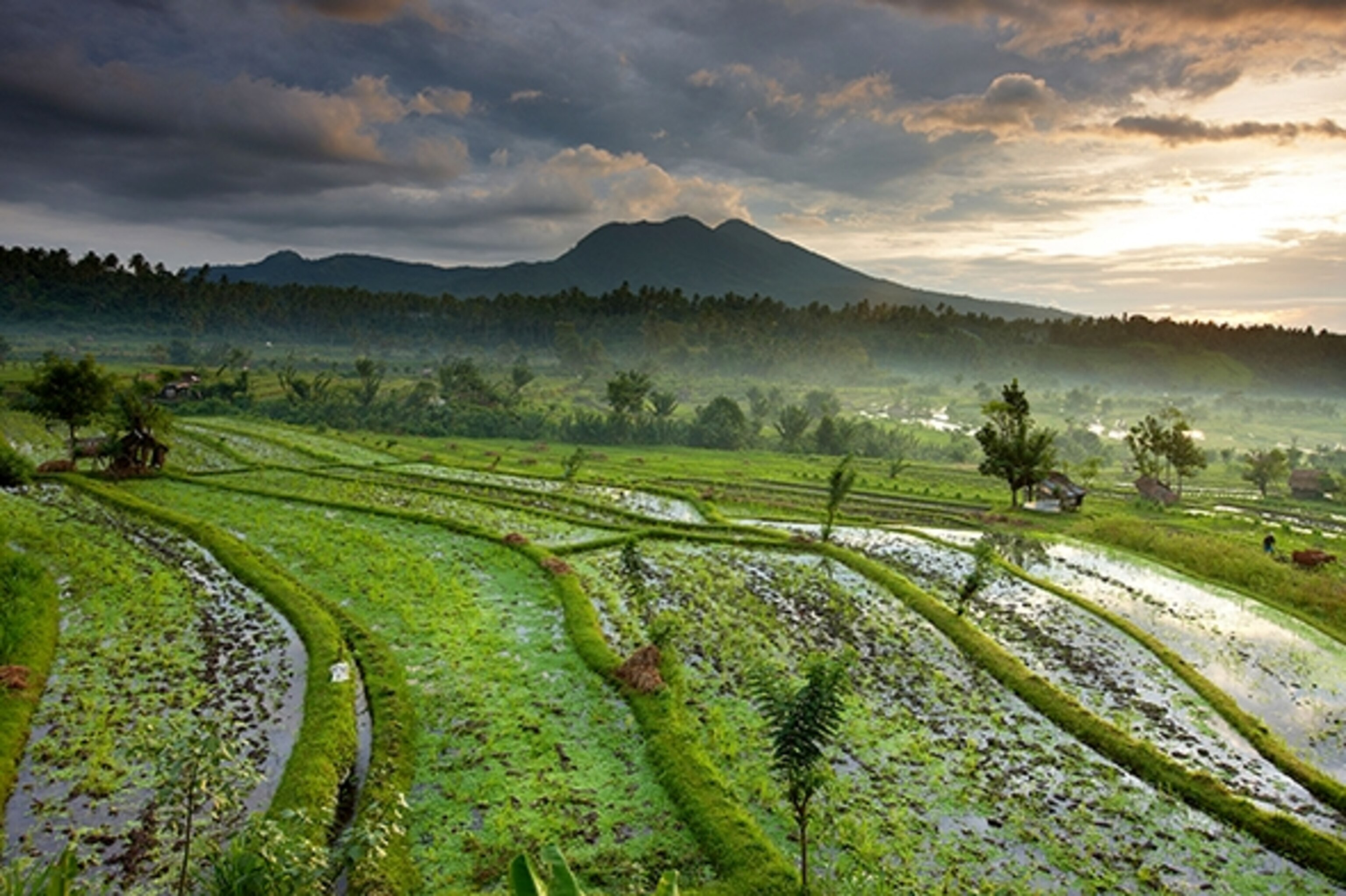 The Best Travel Books About Bali