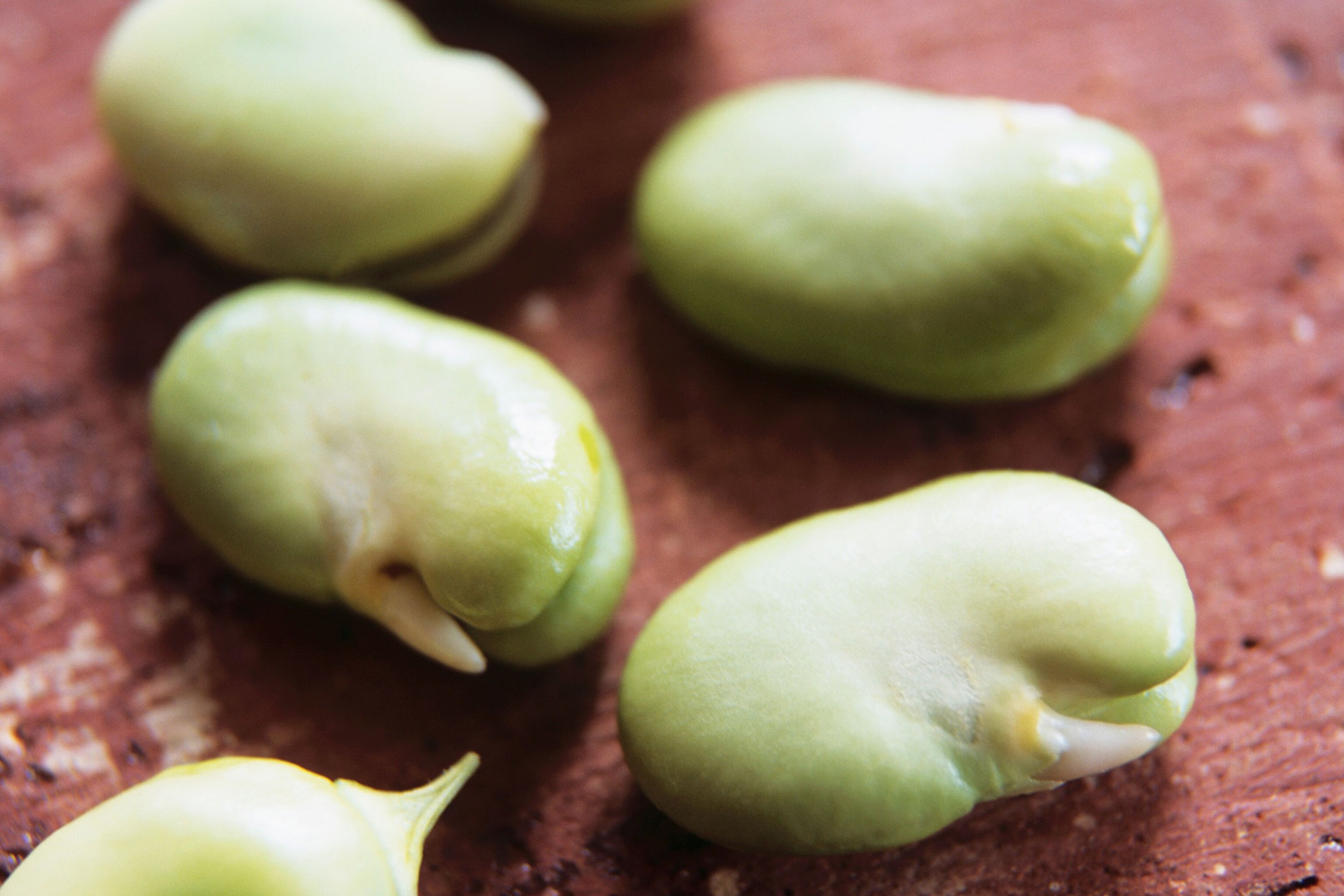 Eat Your Lima Beans. Or Not.