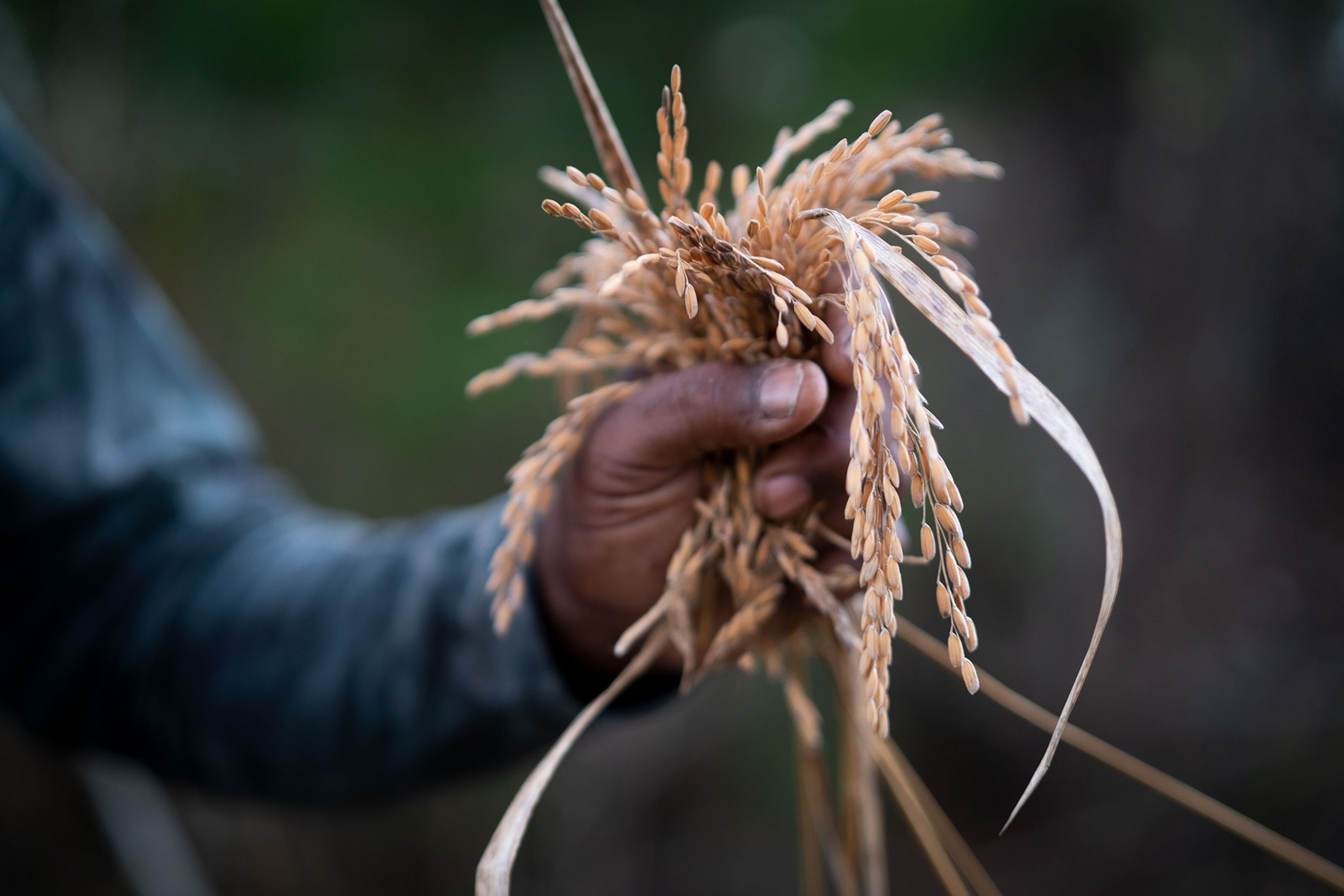 For health and fortune in the new year, put this Gullah Geechee meal on ...