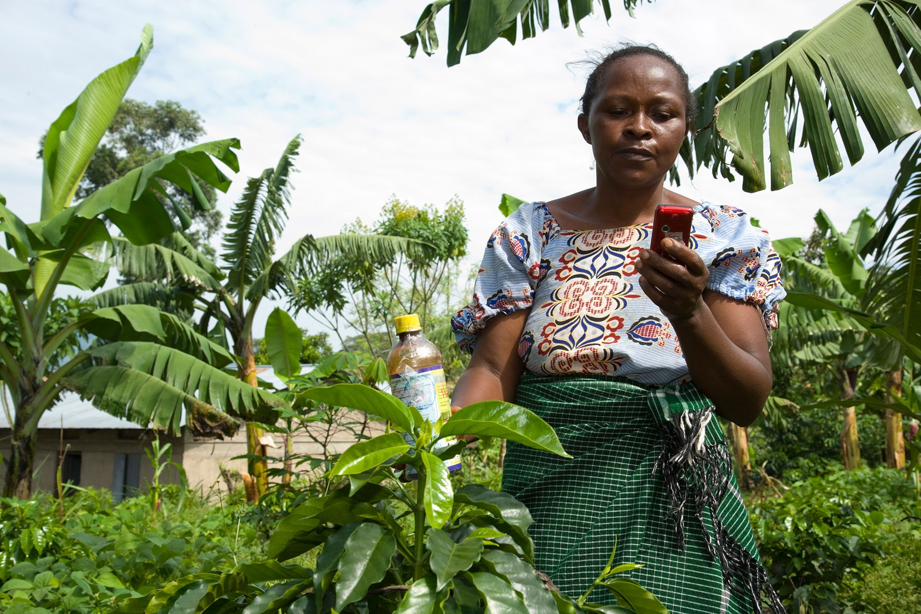 How Cell Phones Can Help End World Hunger