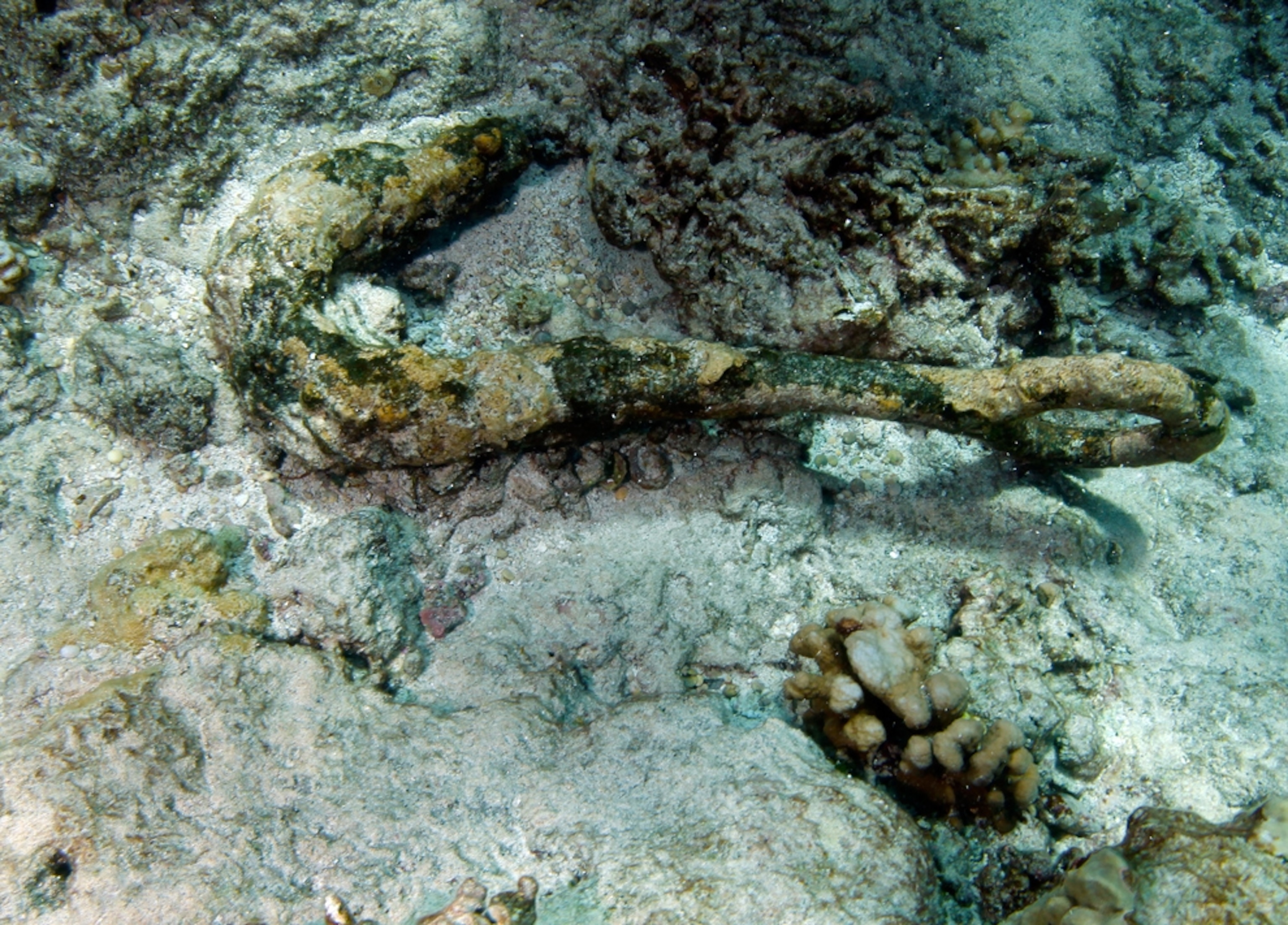 Pictures: 1823 Whaling Shipwreck Found in Hawaii | National Geographic
