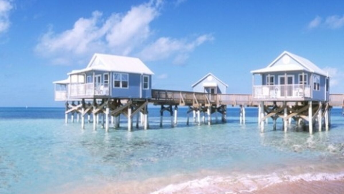 A Bermuda Guarantee | National Geographic