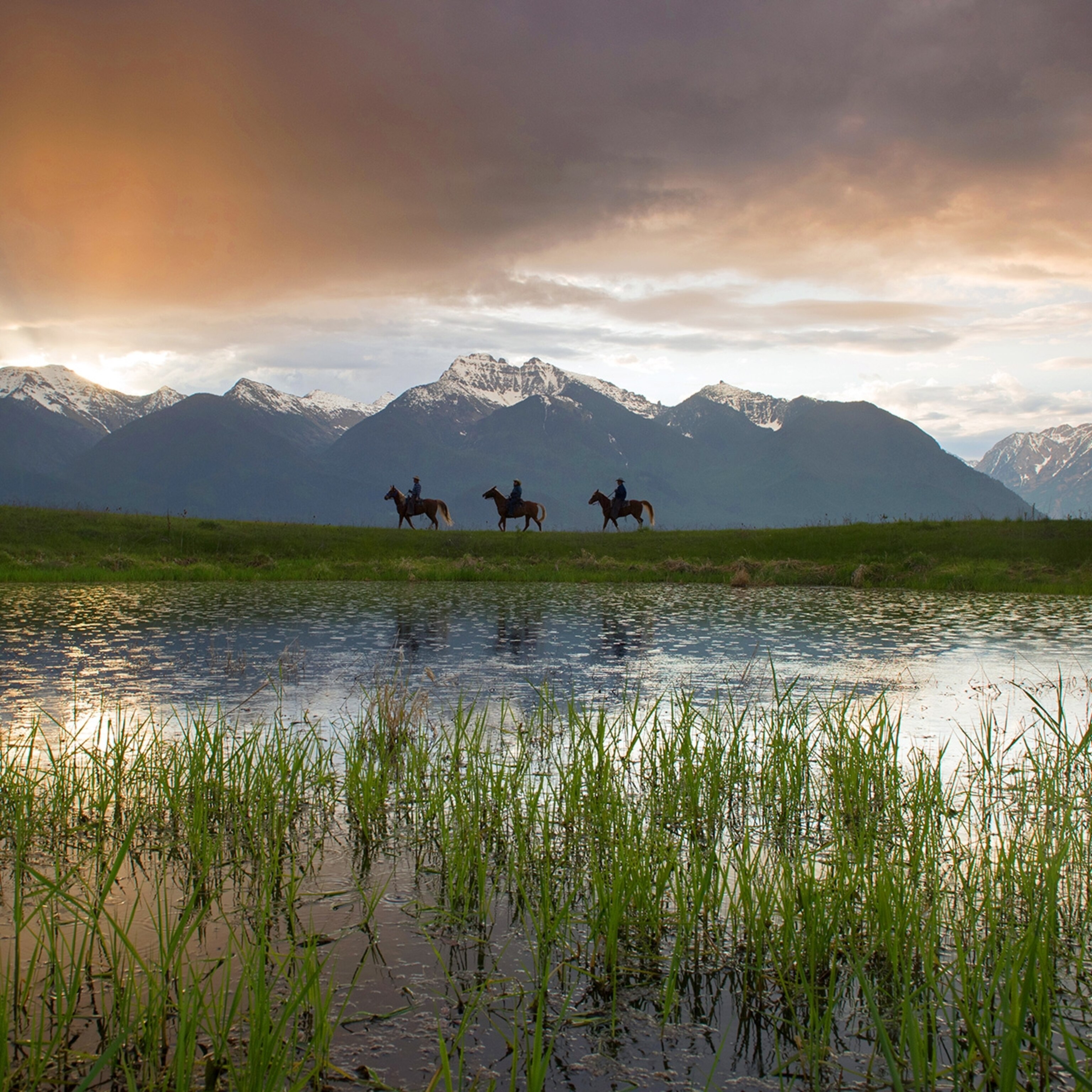 Near And Far Photography