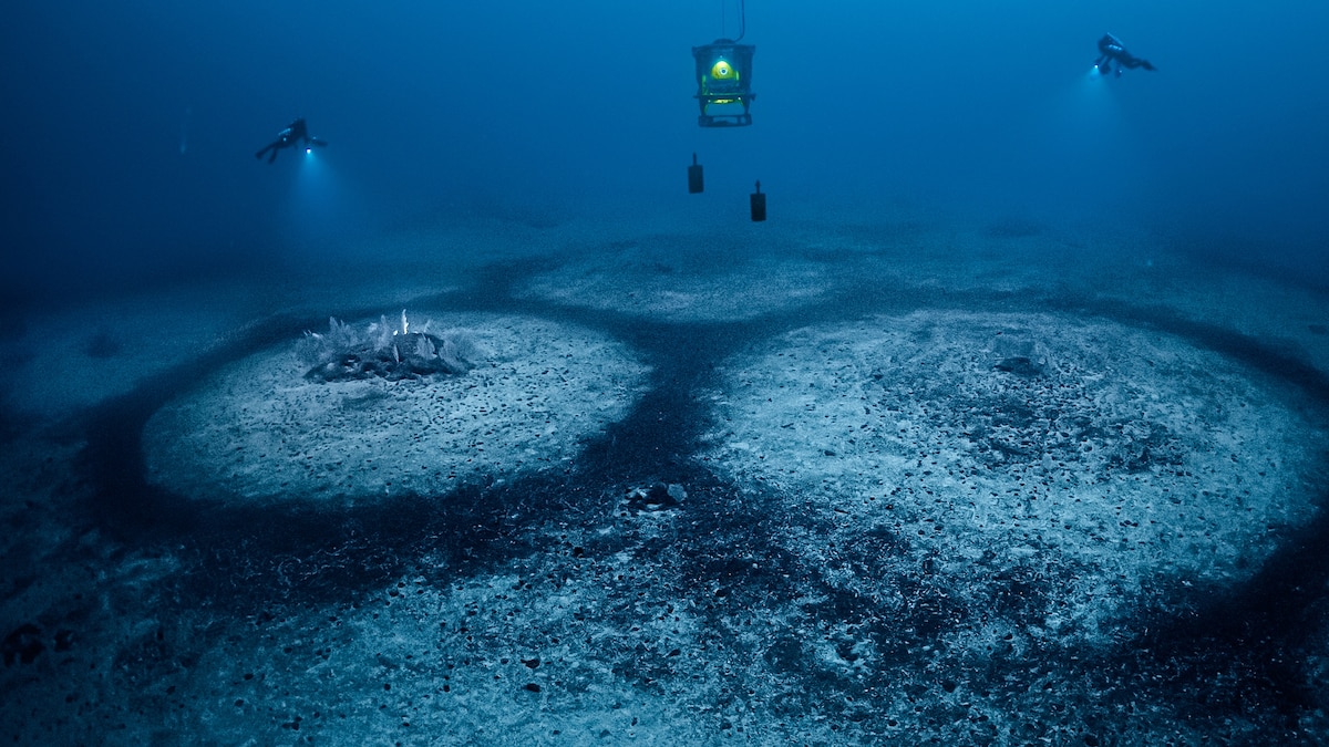What drew these 1,300 perfect circles on the sea floor? We may finally ...