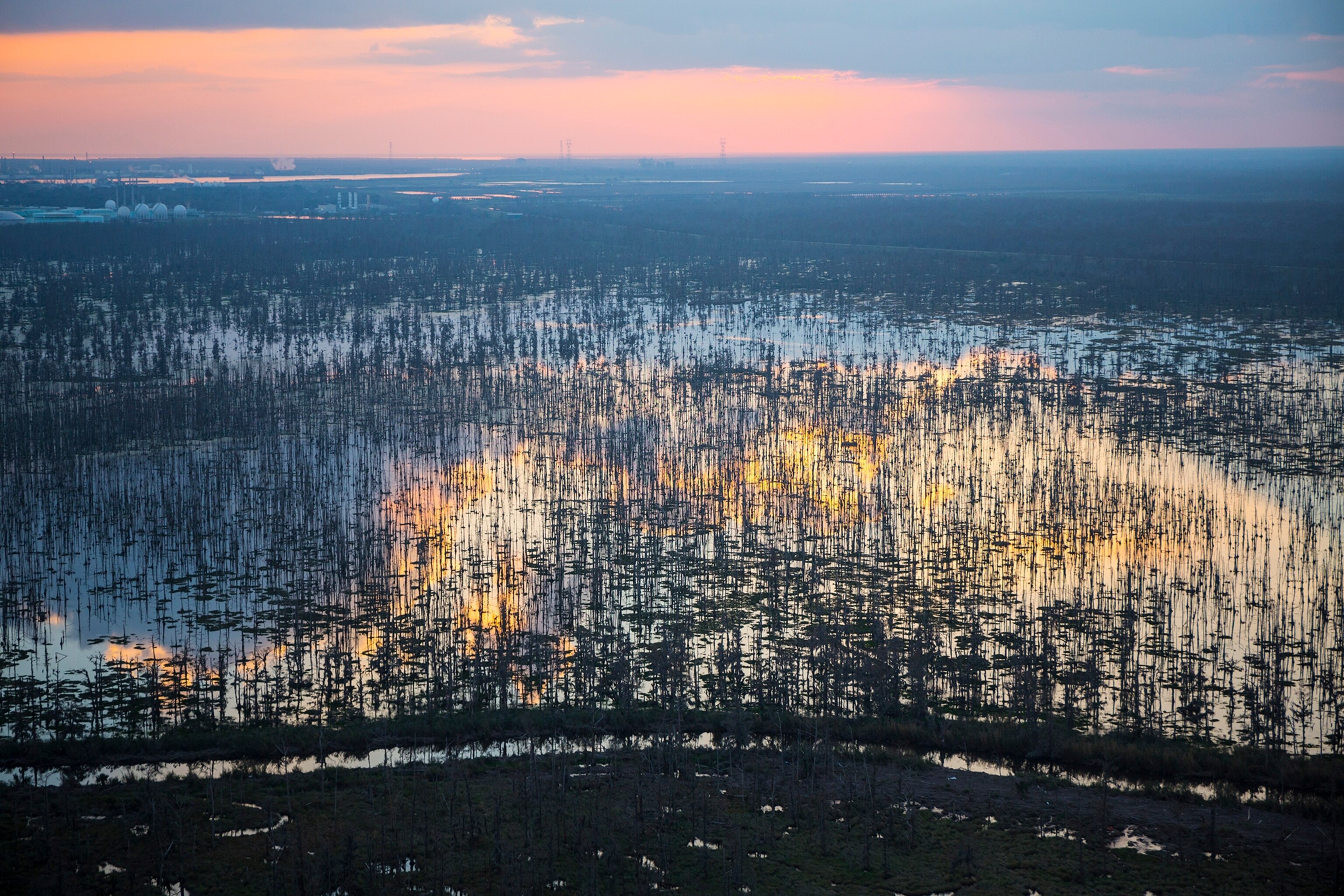 Sea Level Rise Will Flood Hundreds of Cities in the Near Future