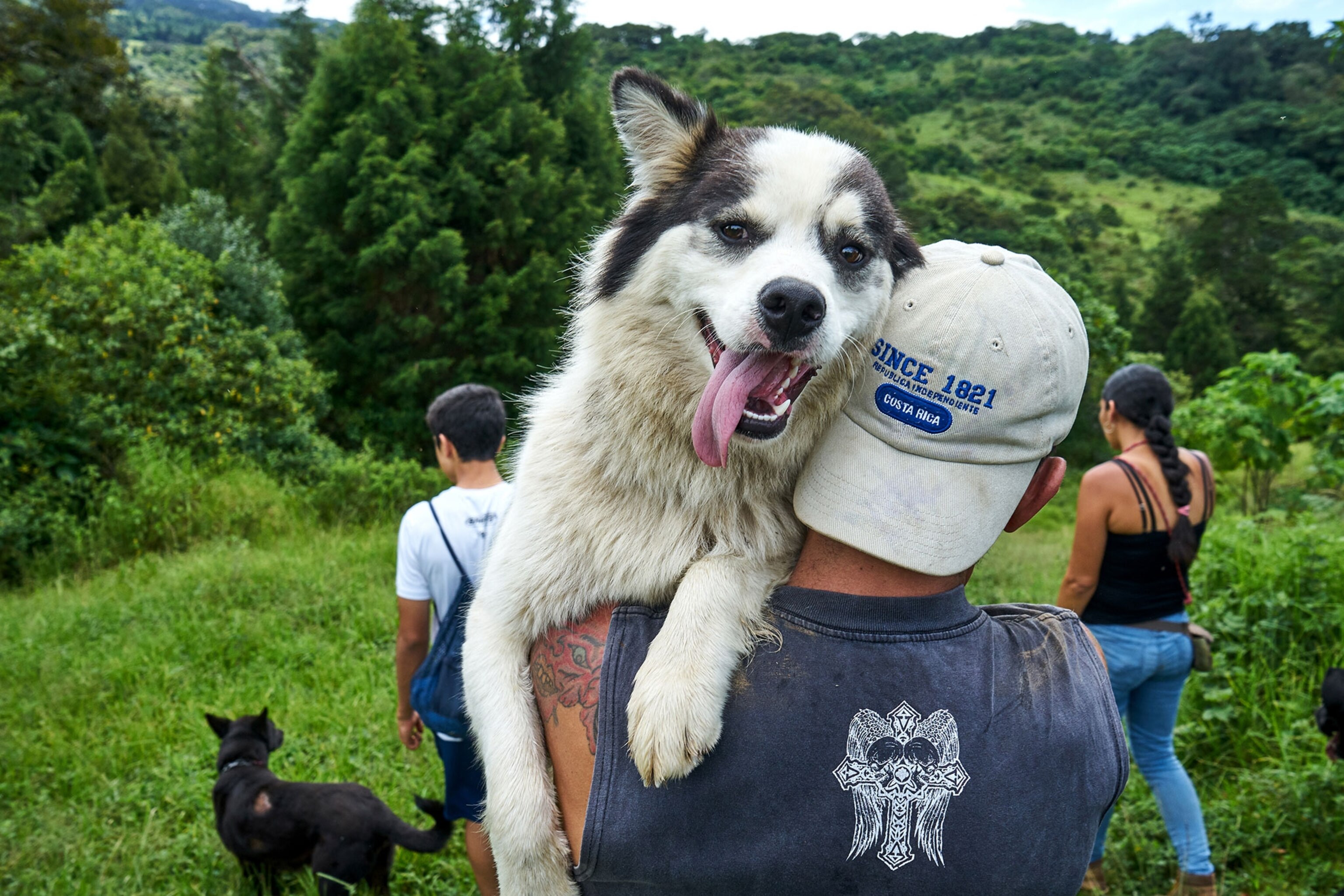 Animal Shelter in Costa Rica Home to 1,000 Stray Dogs