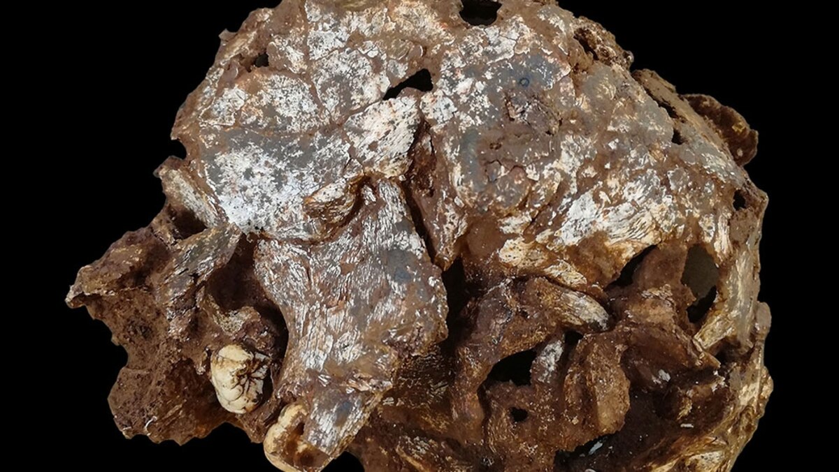 WHAT THE OLDEST AFRICAN BURIAL TELLS US ABOUT OURSELVES