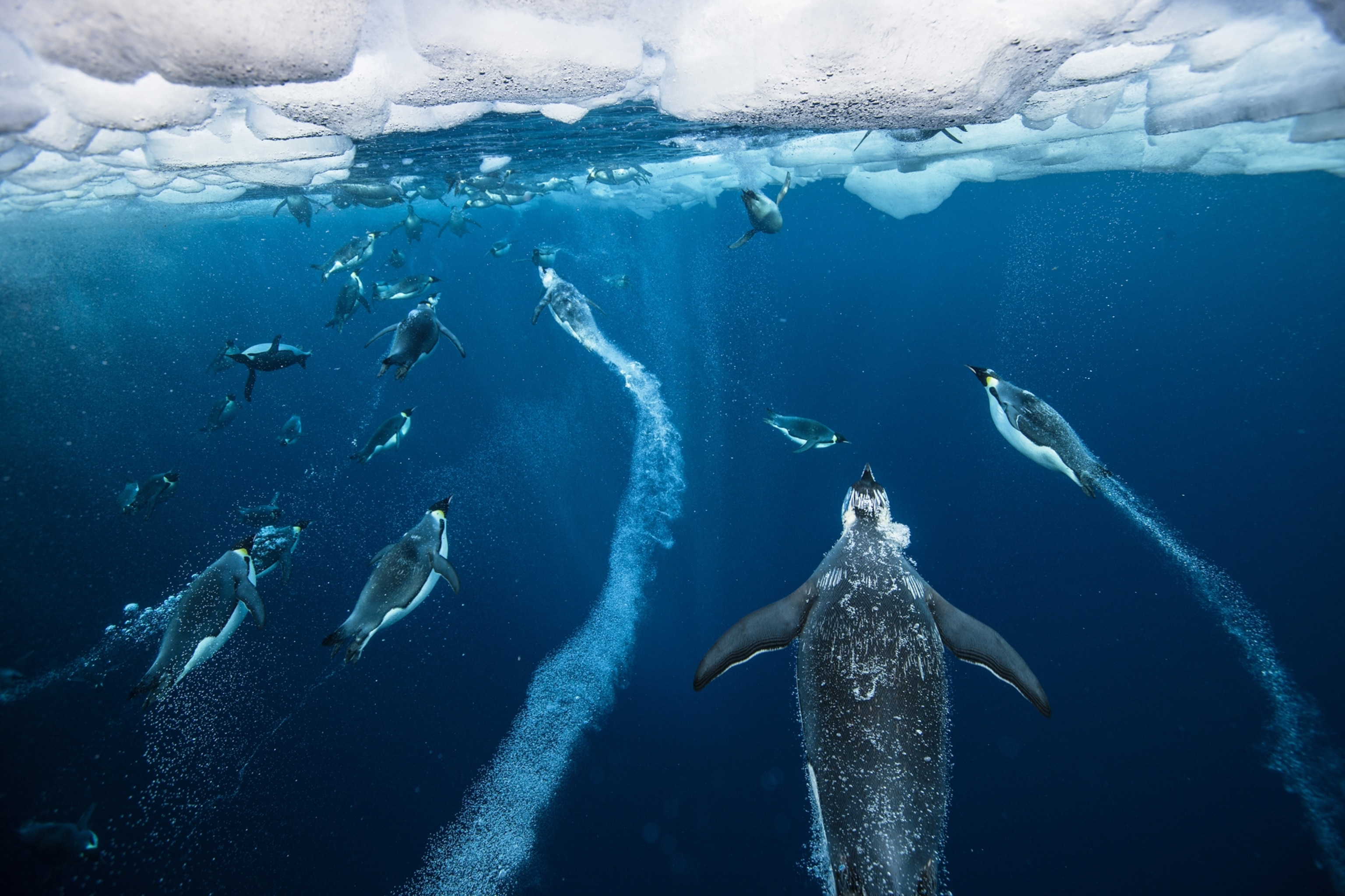 Best dive sites around the world