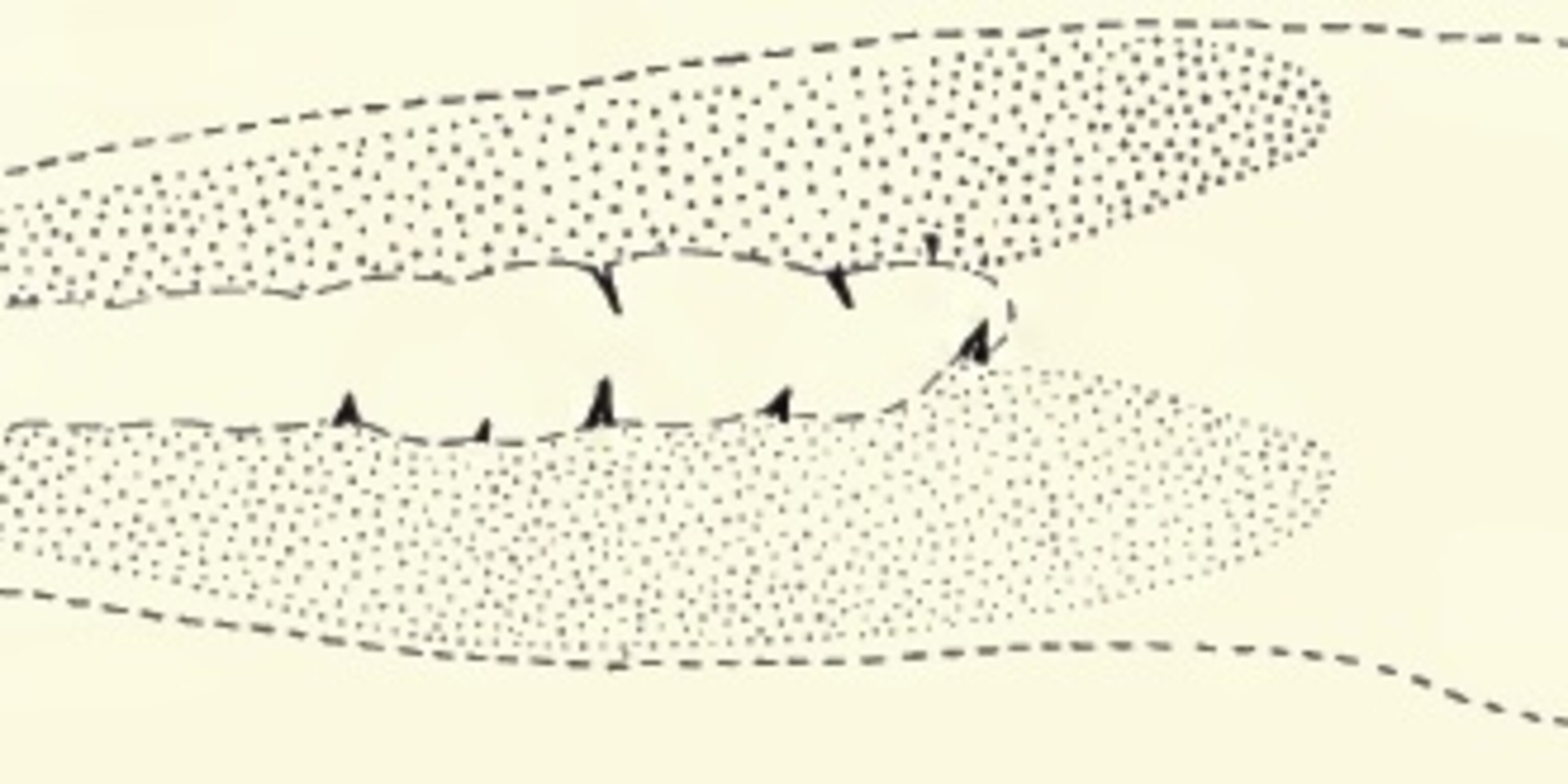 Tully’s Mystery Monster