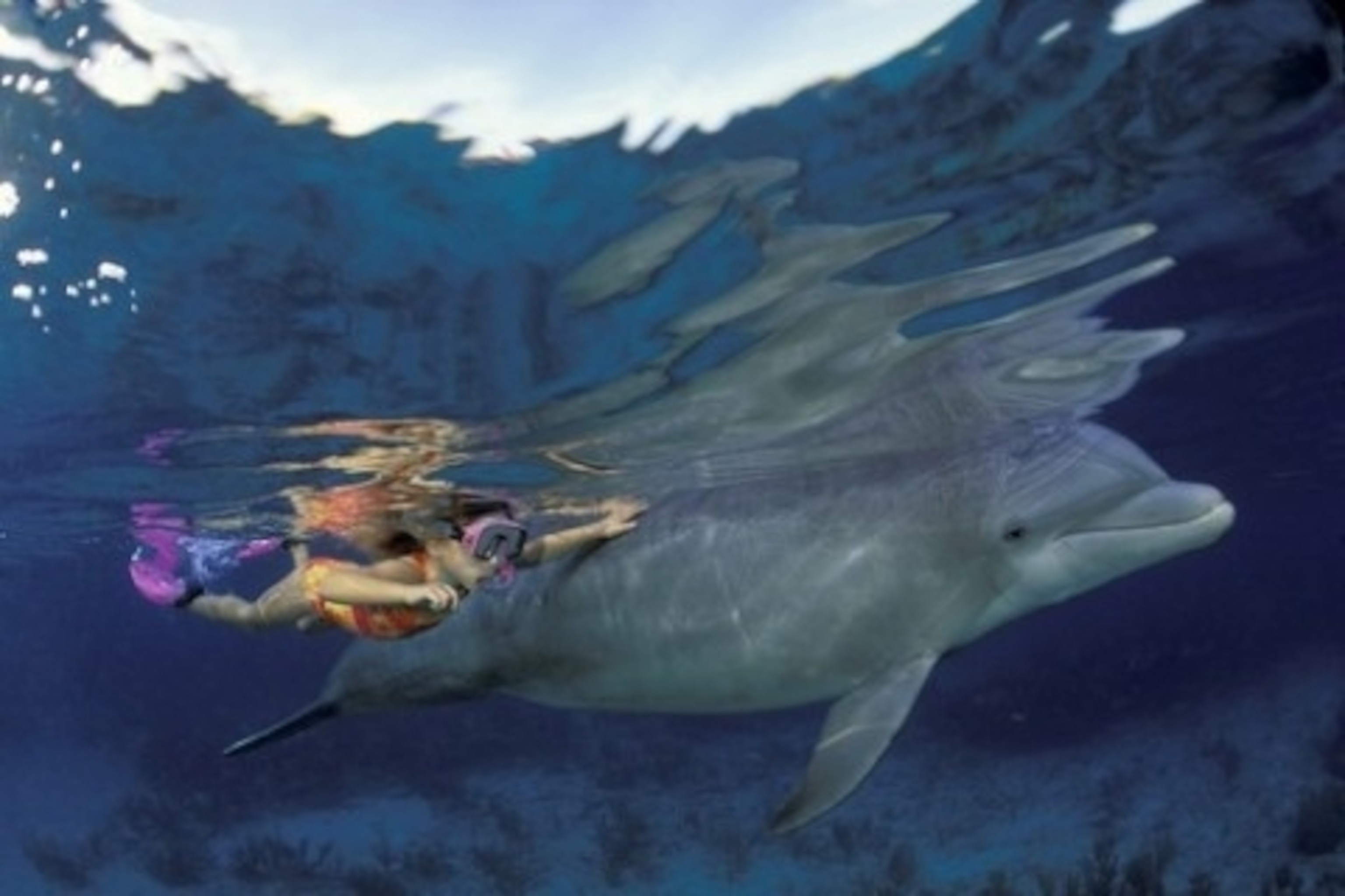 Behind the Lens with Stephen Frink